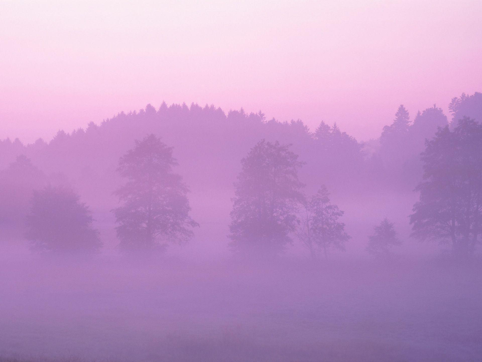 Mac Pink Wallpapers - Top Free Mac Pink Backgrounds - WallpaperAccess