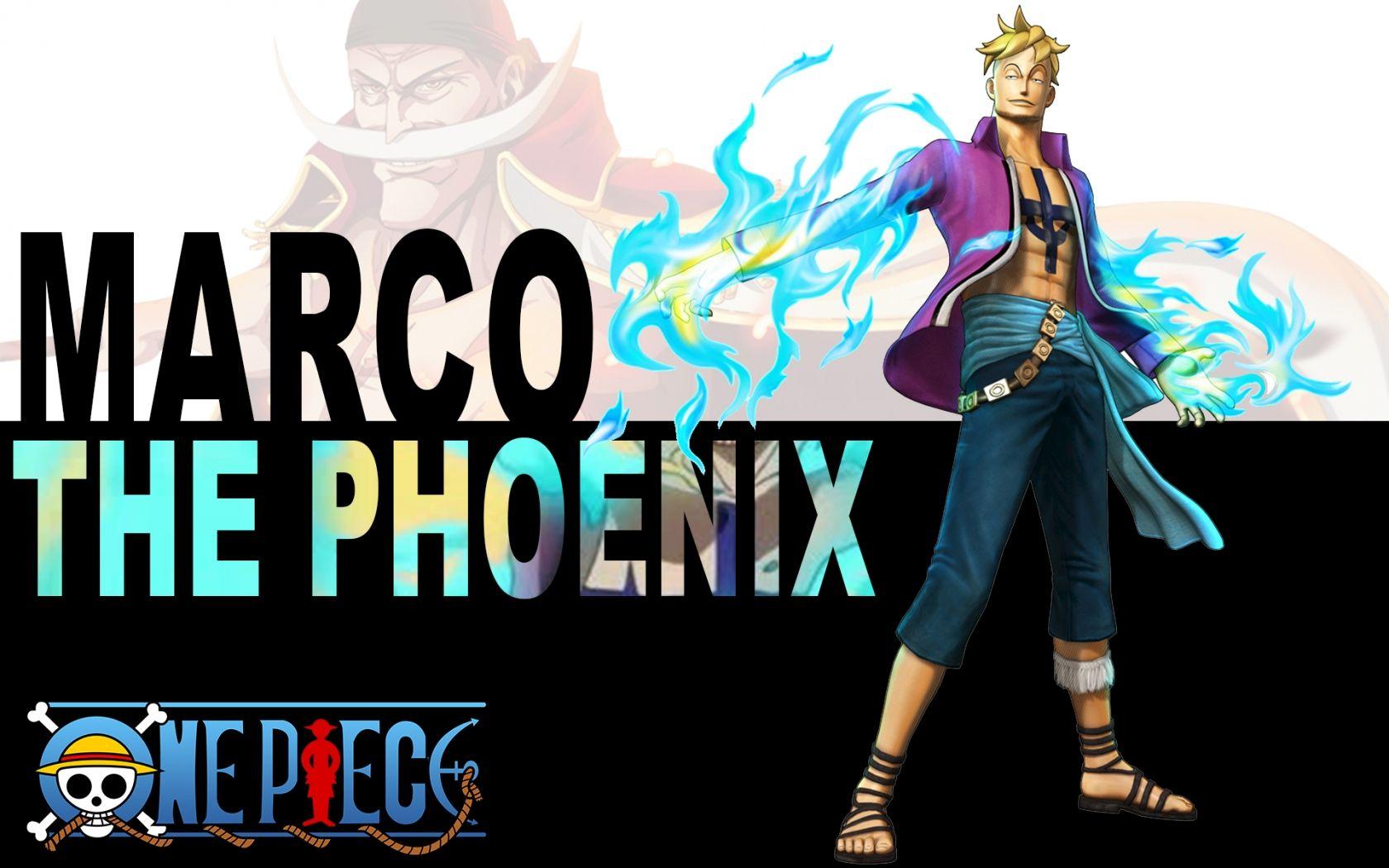 Marco the Phoenix Wallpapers - Top Free Marco the Phoenix Backgrounds ...