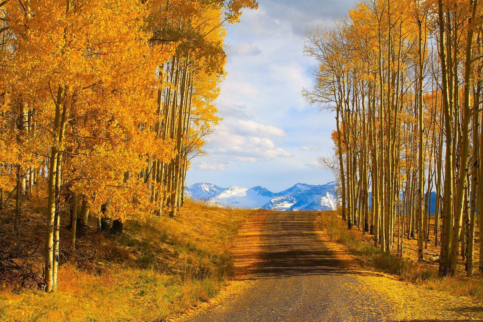 Telluride Colorado Wallpapers - Top Free Telluride Colorado Backgrounds ...