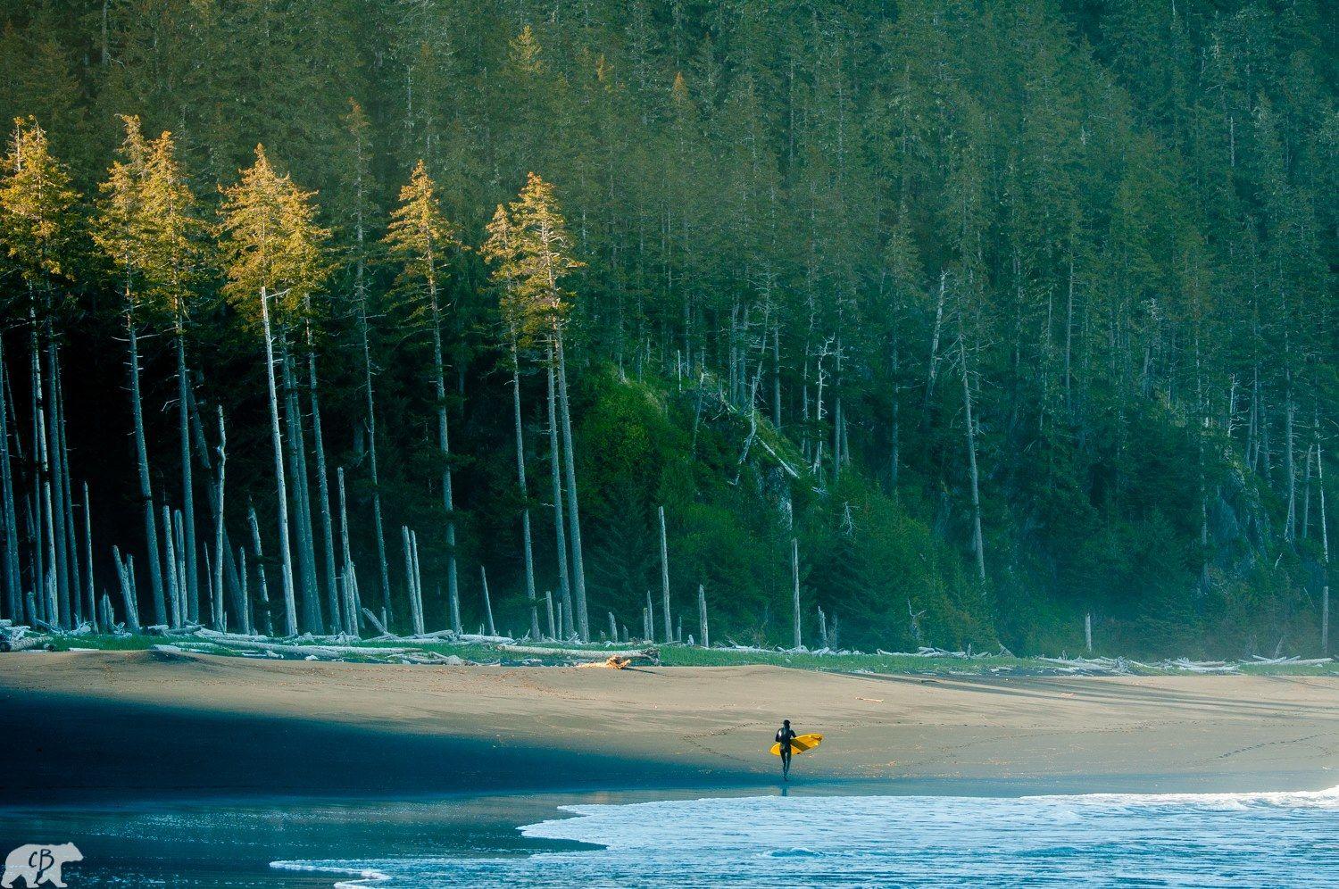 Film Photography Wallpapers - Top Free Film Photography Backgrounds ...