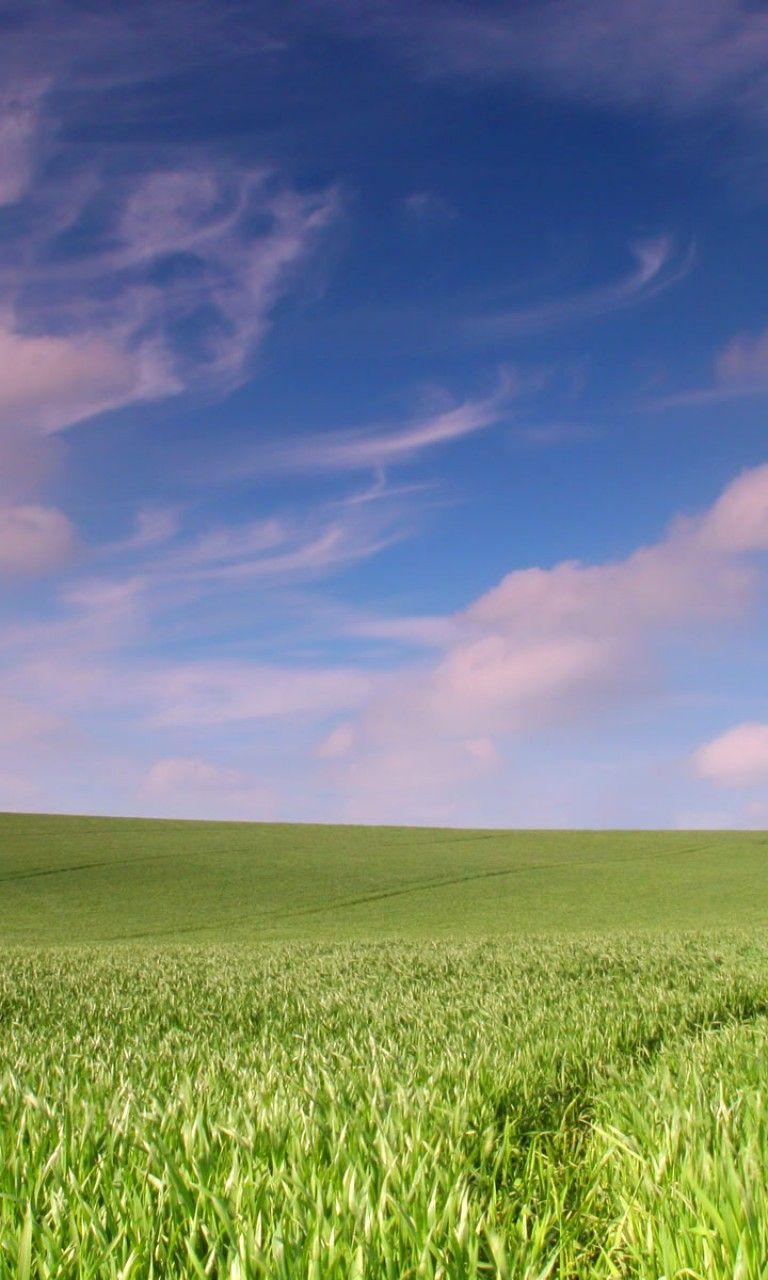 Open Field Wallpapers - Top Free Open Field Backgrounds - WallpaperAccess