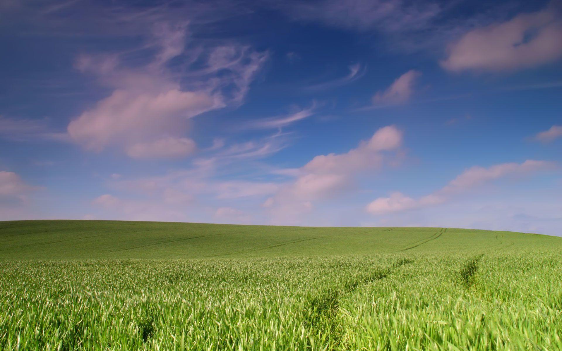 Open Field Wallpapers - Top Free Open Field Backgrounds - WallpaperAccess