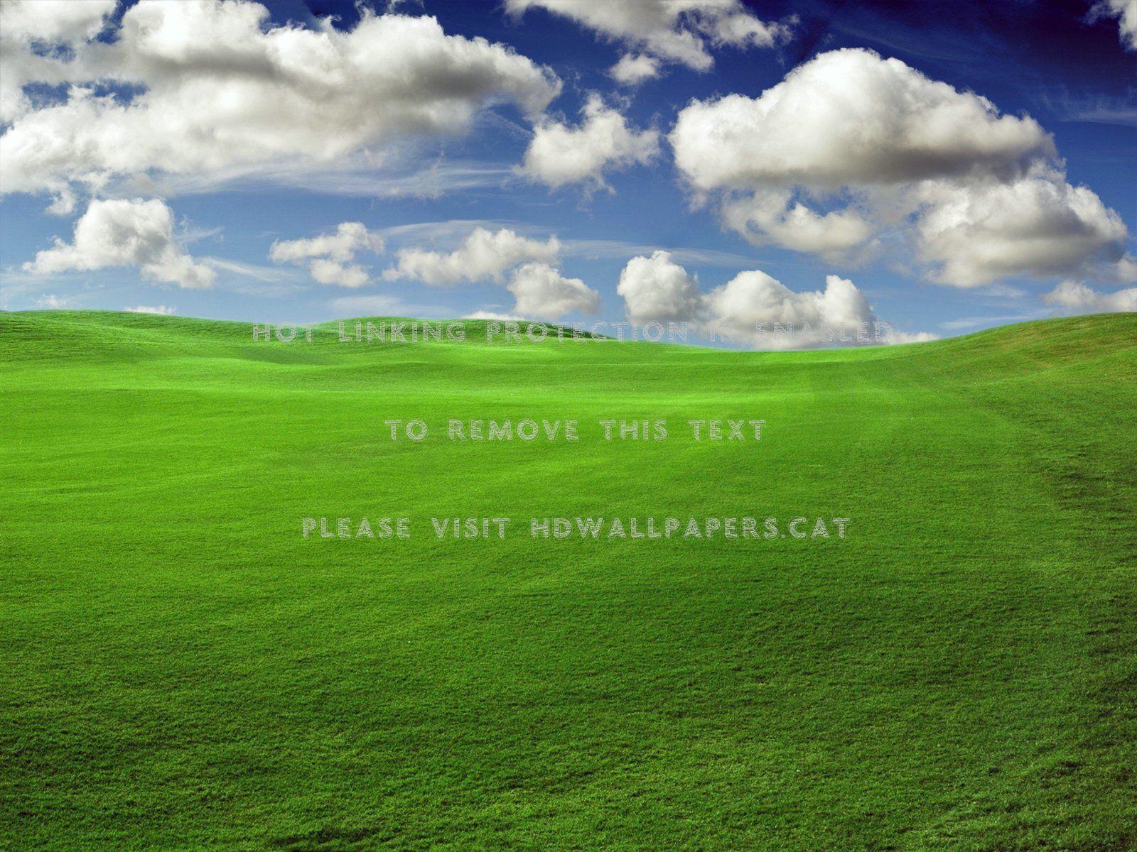 Open Field Wallpapers - Top Free Open Field Backgrounds - WallpaperAccess