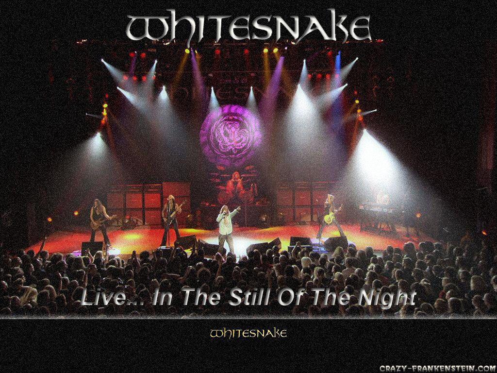 Whitesnake Wallpapers - Top Free Whitesnake Backgrounds - WallpaperAccess