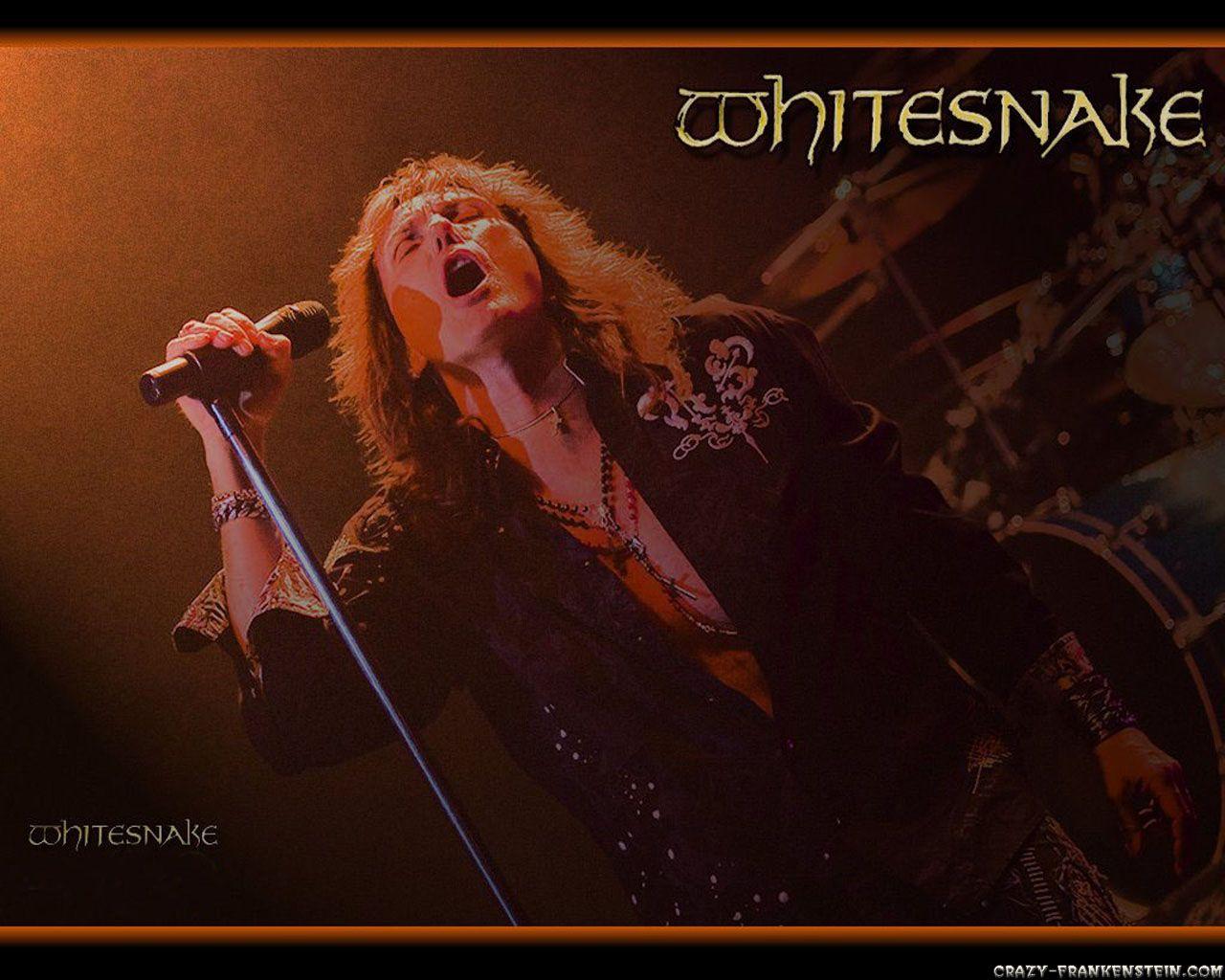 Whitesnake Wallpapers - Top Free Whitesnake Backgrounds - WallpaperAccess