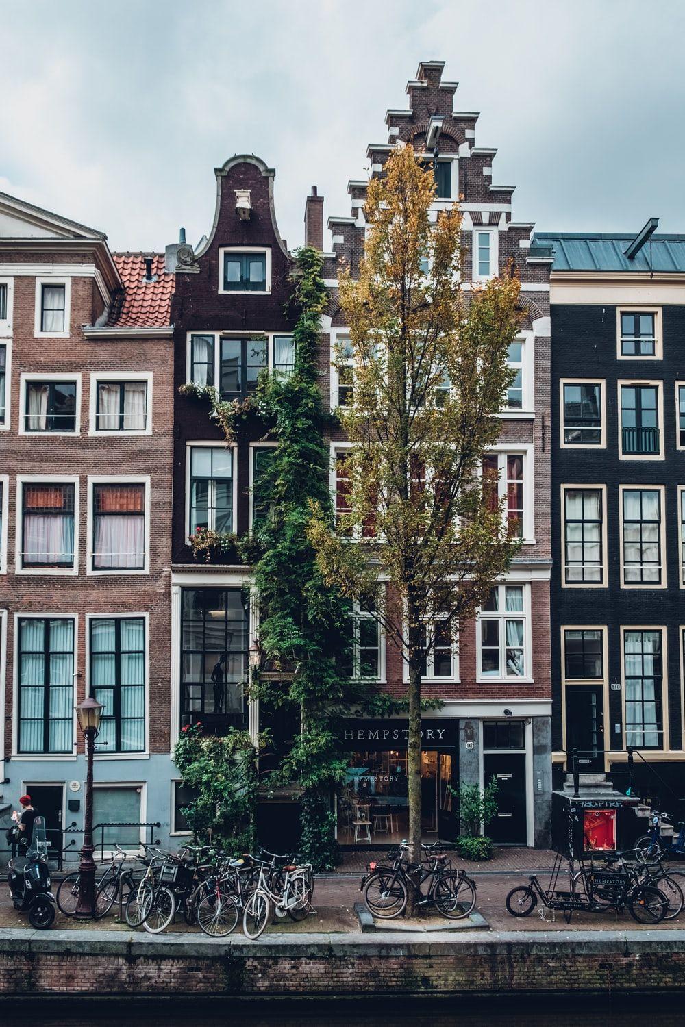 Amsterdam 4k Wallpapers - Top Free Amsterdam 4k Backgrounds ...