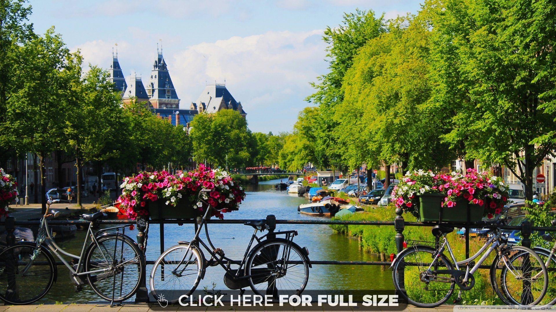 Amsterdam 4k Wallpapers - Top Free Amsterdam 4k Backgrounds ...