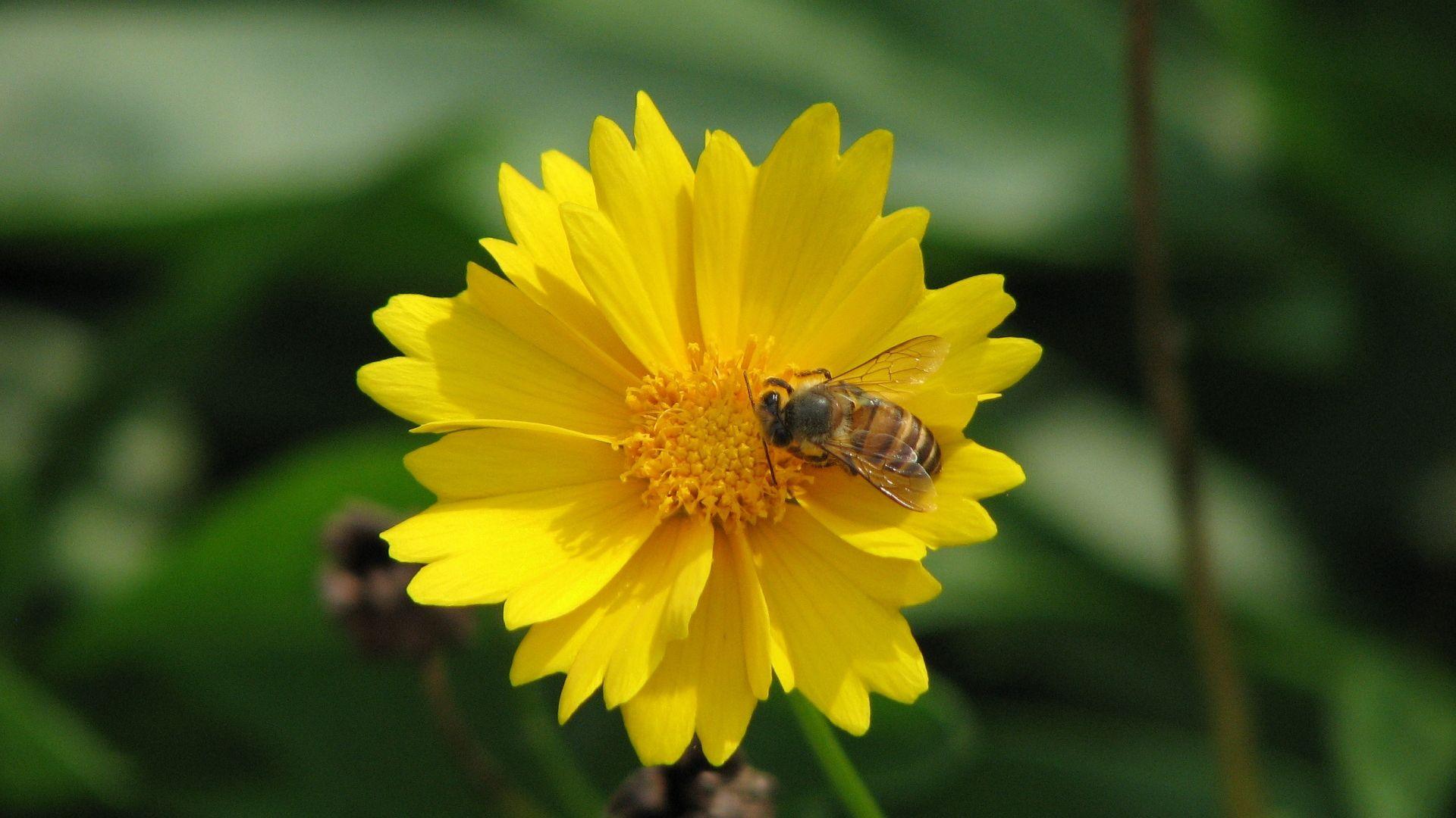 Yellow Photography Wallpapers - Top Free Yellow Photography Backgrounds ...