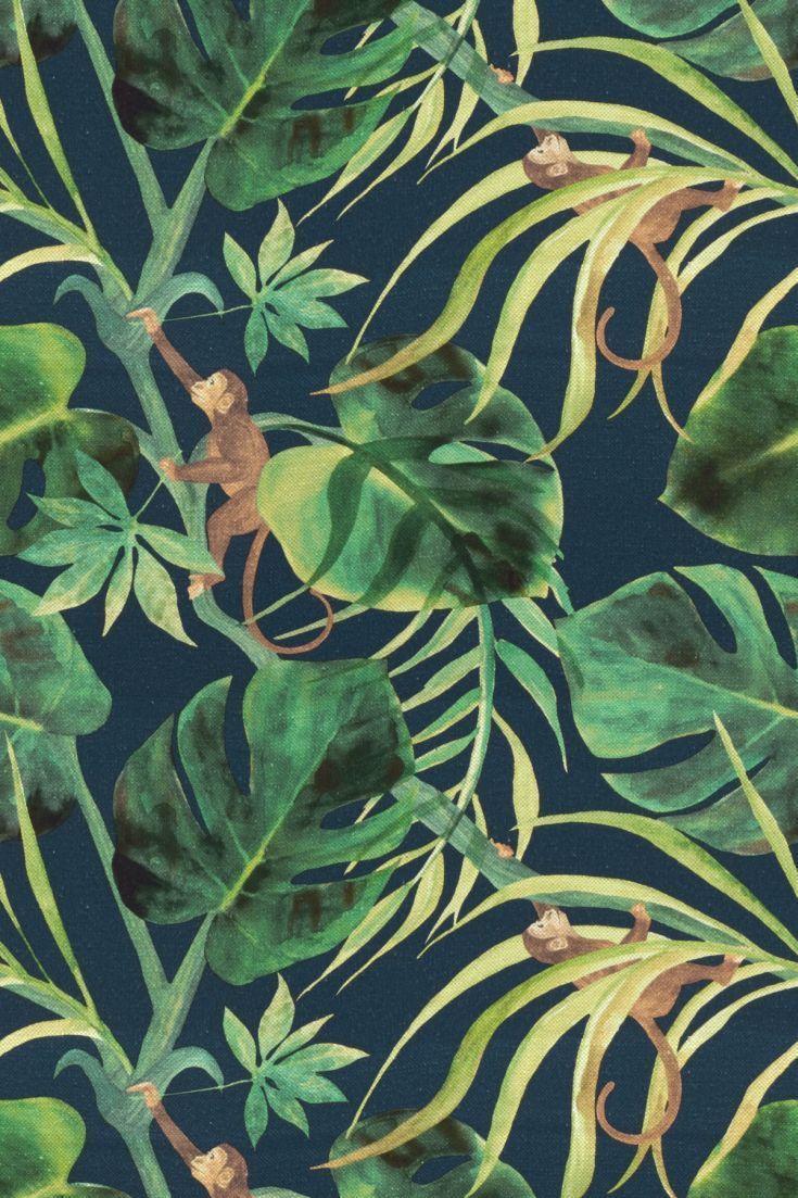 Botany Wallpapers - Top Free Botany Backgrounds - WallpaperAccess