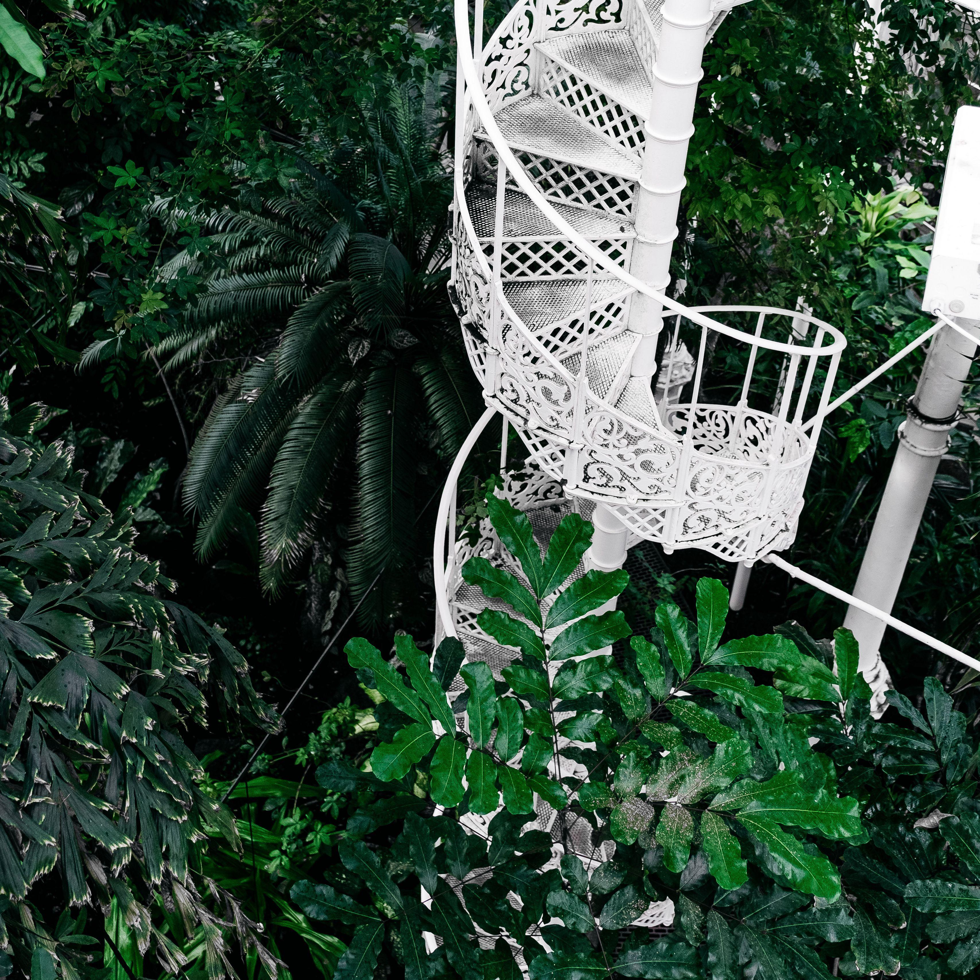 Botany Wallpapers - Top Free Botany Backgrounds - WallpaperAccess