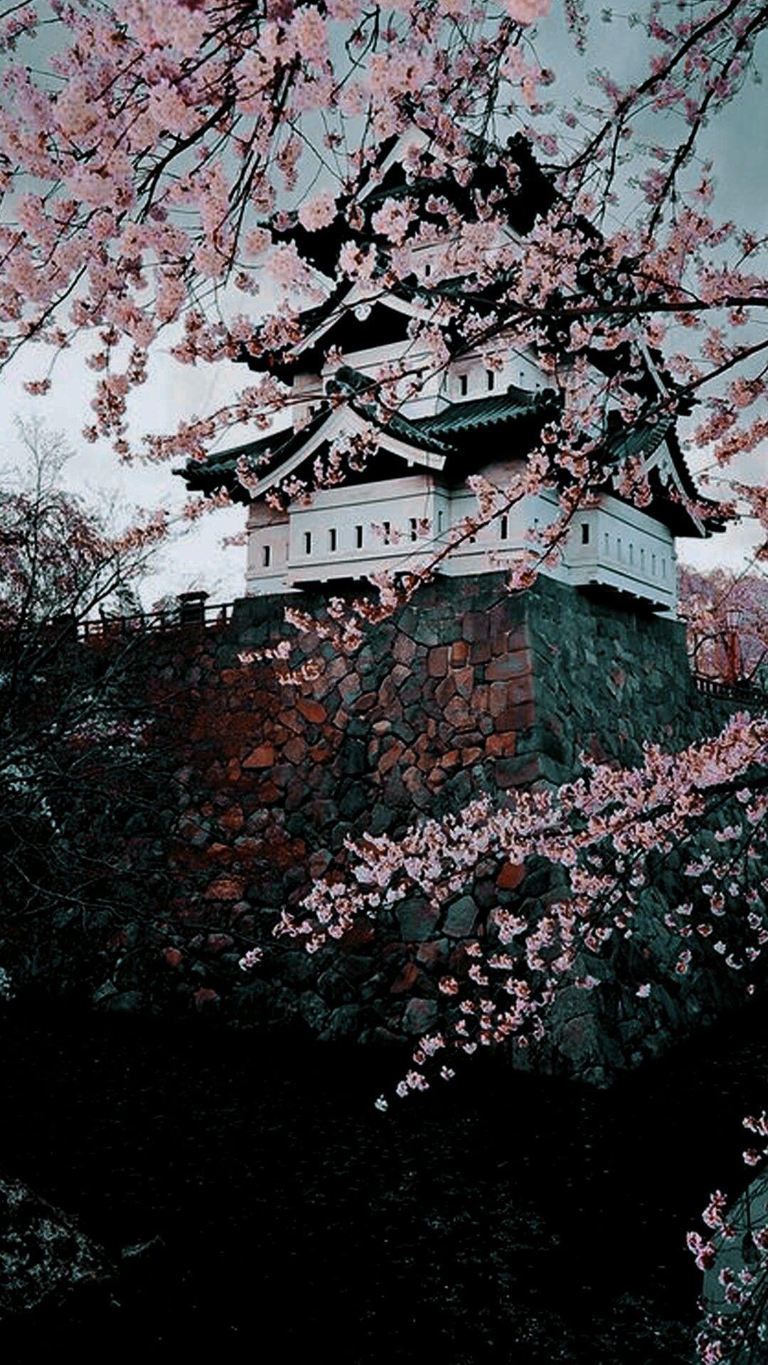 Japan Culture Wallpapers - Top Free Japan Culture Backgrounds ...