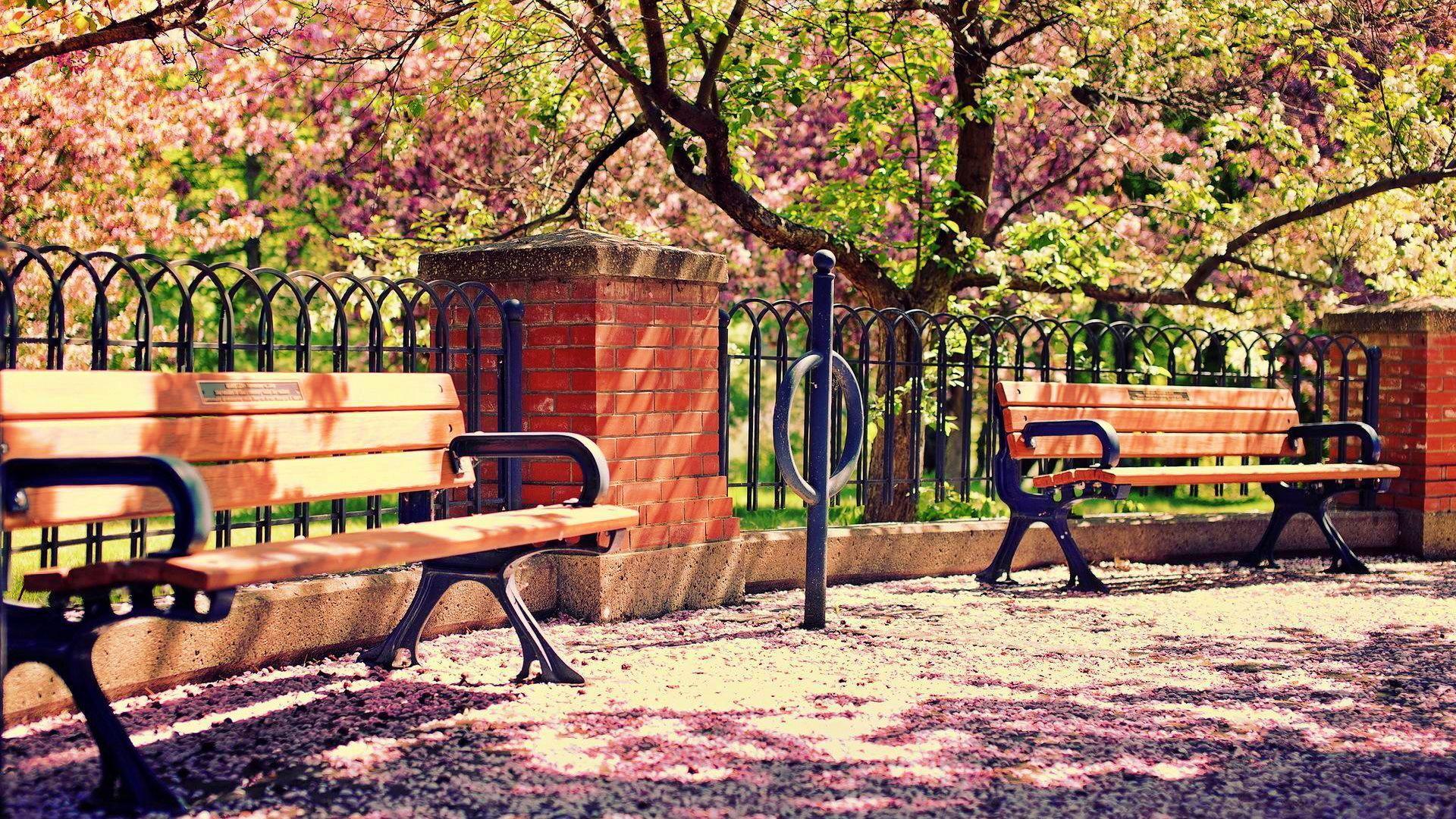 Spring Park Wallpapers - Top Free Spring Park Backgrounds - WallpaperAccess