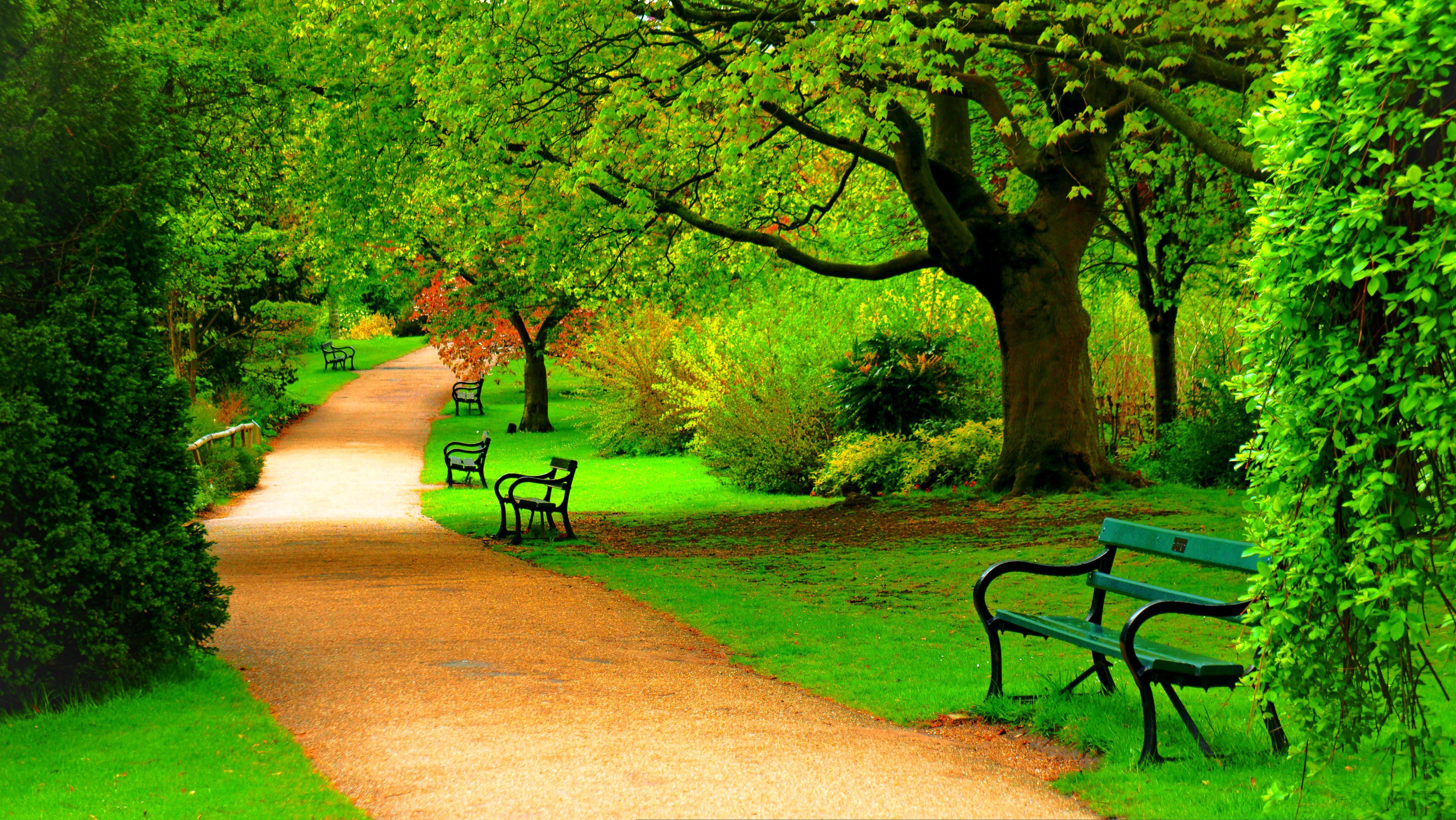 Spring Park Wallpapers - Top Free Spring Park Backgrounds - WallpaperAccess