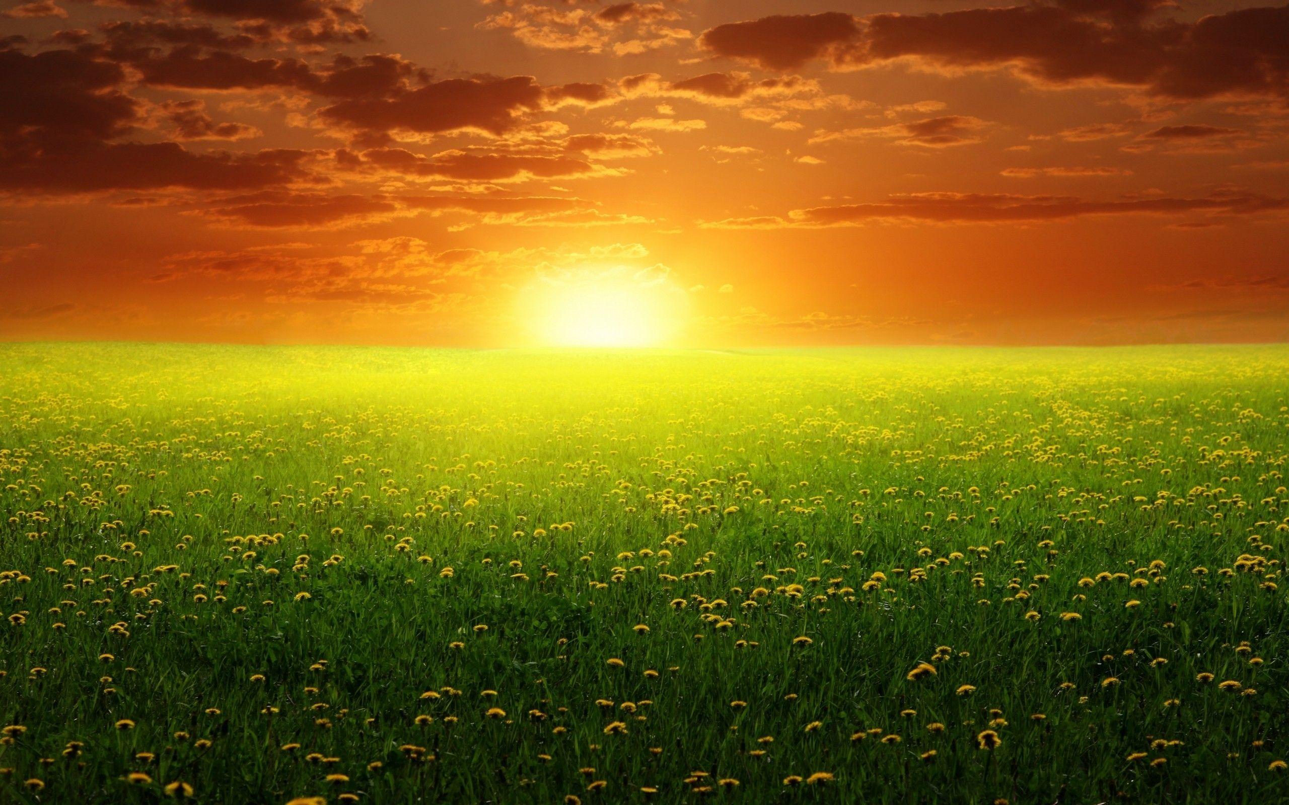 Spring Sunset Wallpapers - Top Free Spring Sunset Backgrounds ...