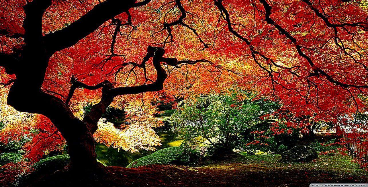 Awesome Autumn Desktop Wallpapers - Top Free Awesome Autumn Desktop ...