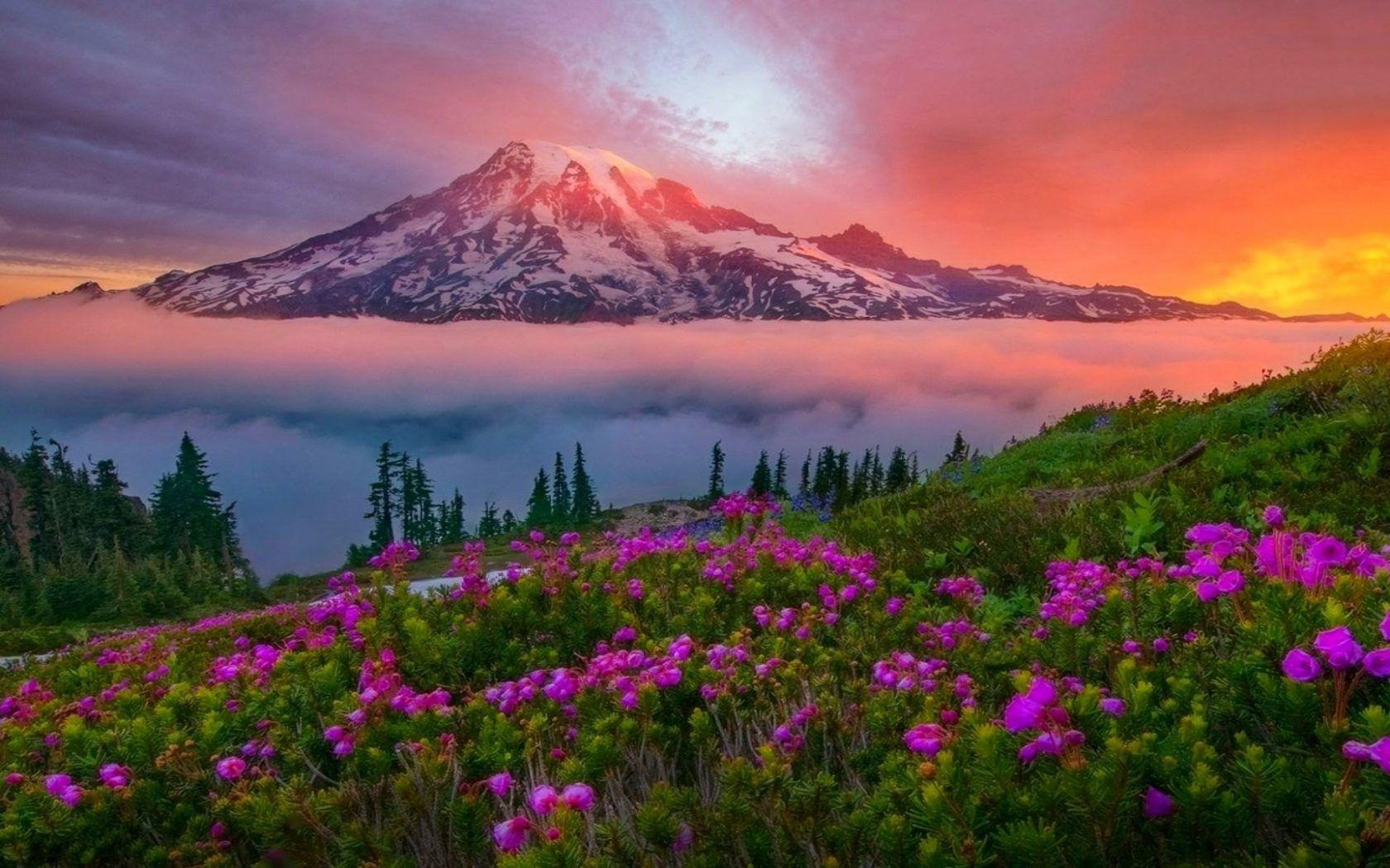 Spring Sunset Wallpapers - Top Free Spring Sunset Backgrounds ...