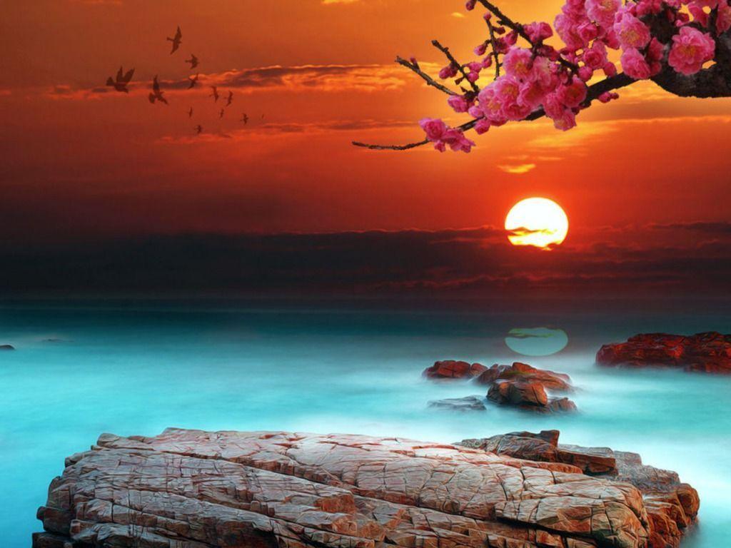 Spring Sunset Wallpapers - Top Free Spring Sunset Backgrounds ...