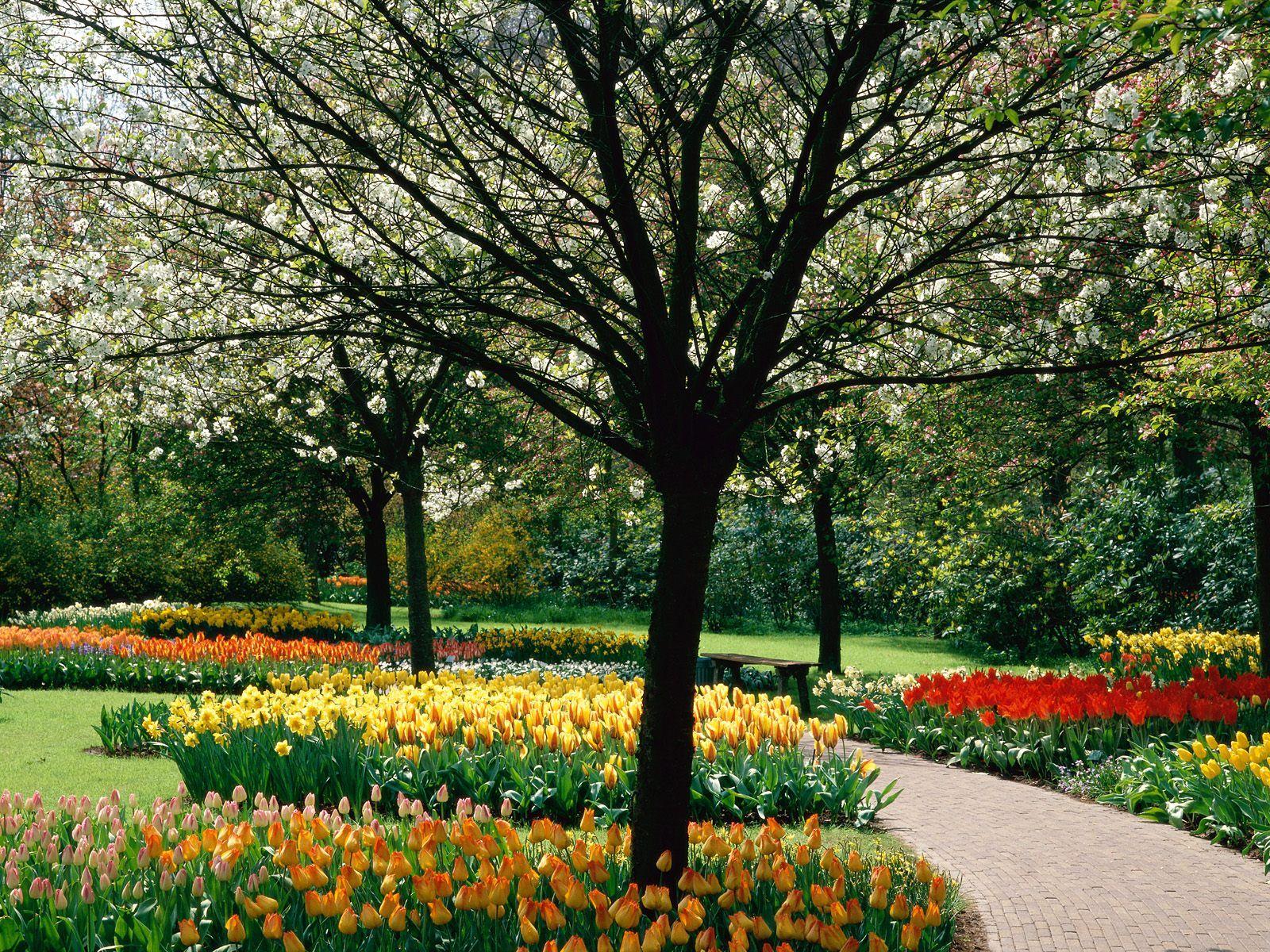 Spring Park Wallpapers - Top Free Spring Park Backgrounds - WallpaperAccess