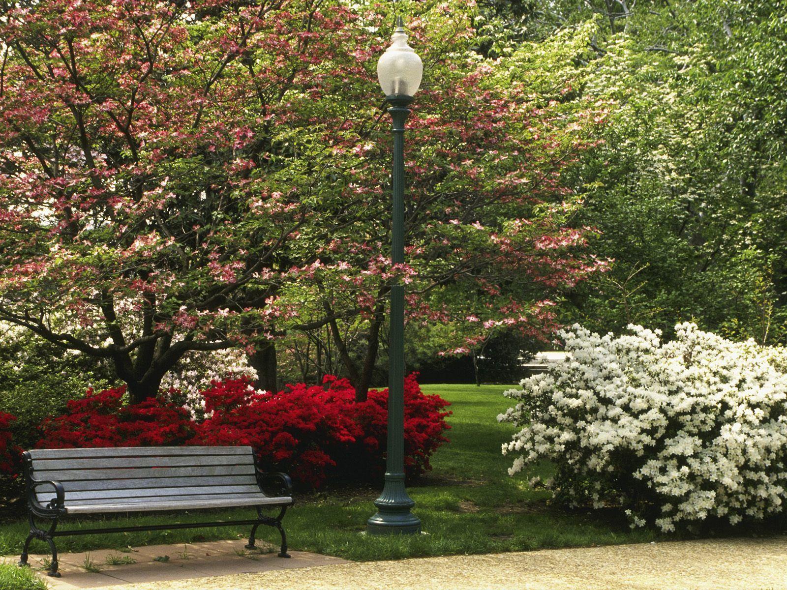 NYC Spring Wallpapers - Top Free NYC Spring Backgrounds - WallpaperAccess
