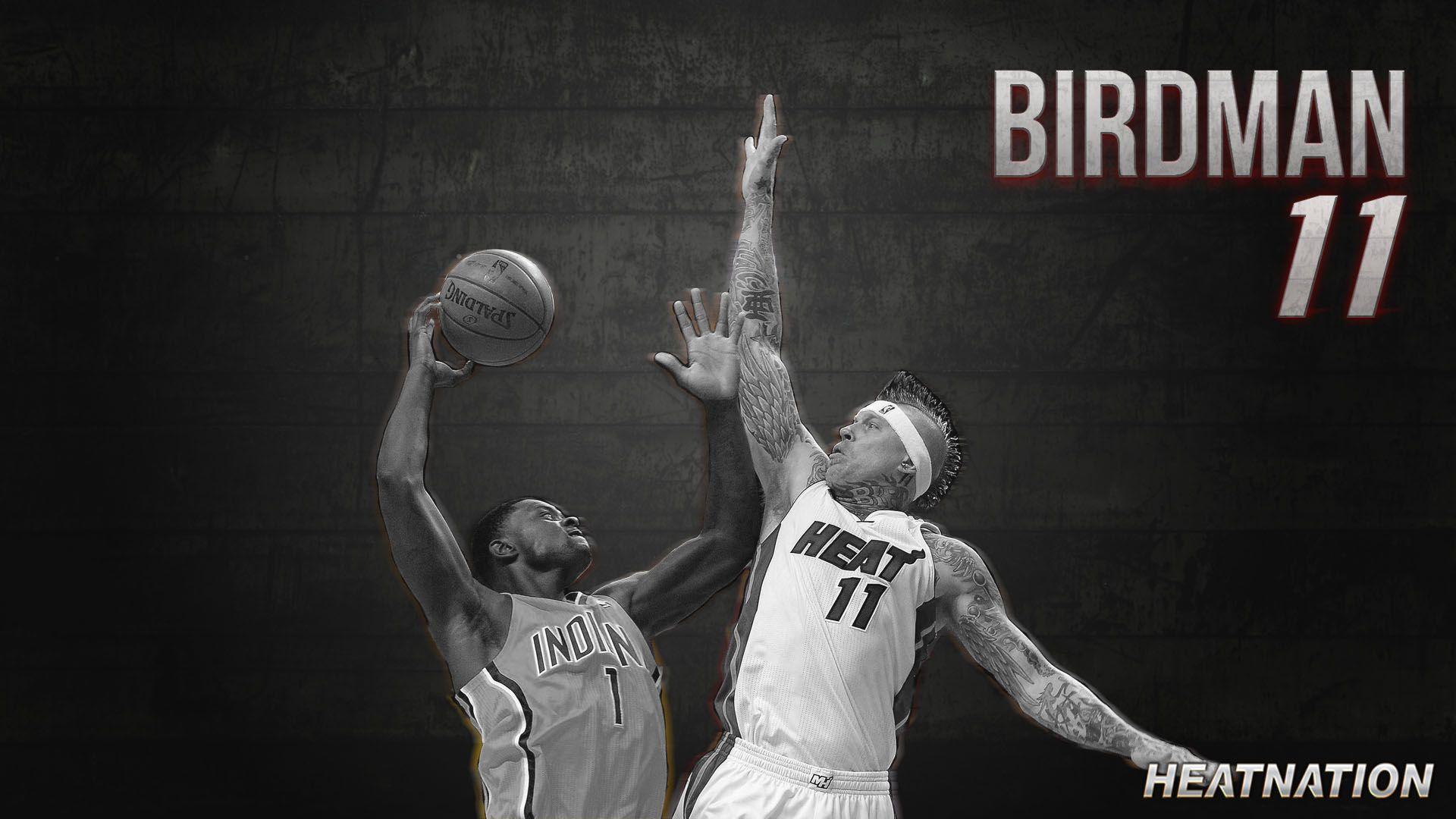 Birdman Wallpapers - Top Free Birdman Backgrounds - WallpaperAccess