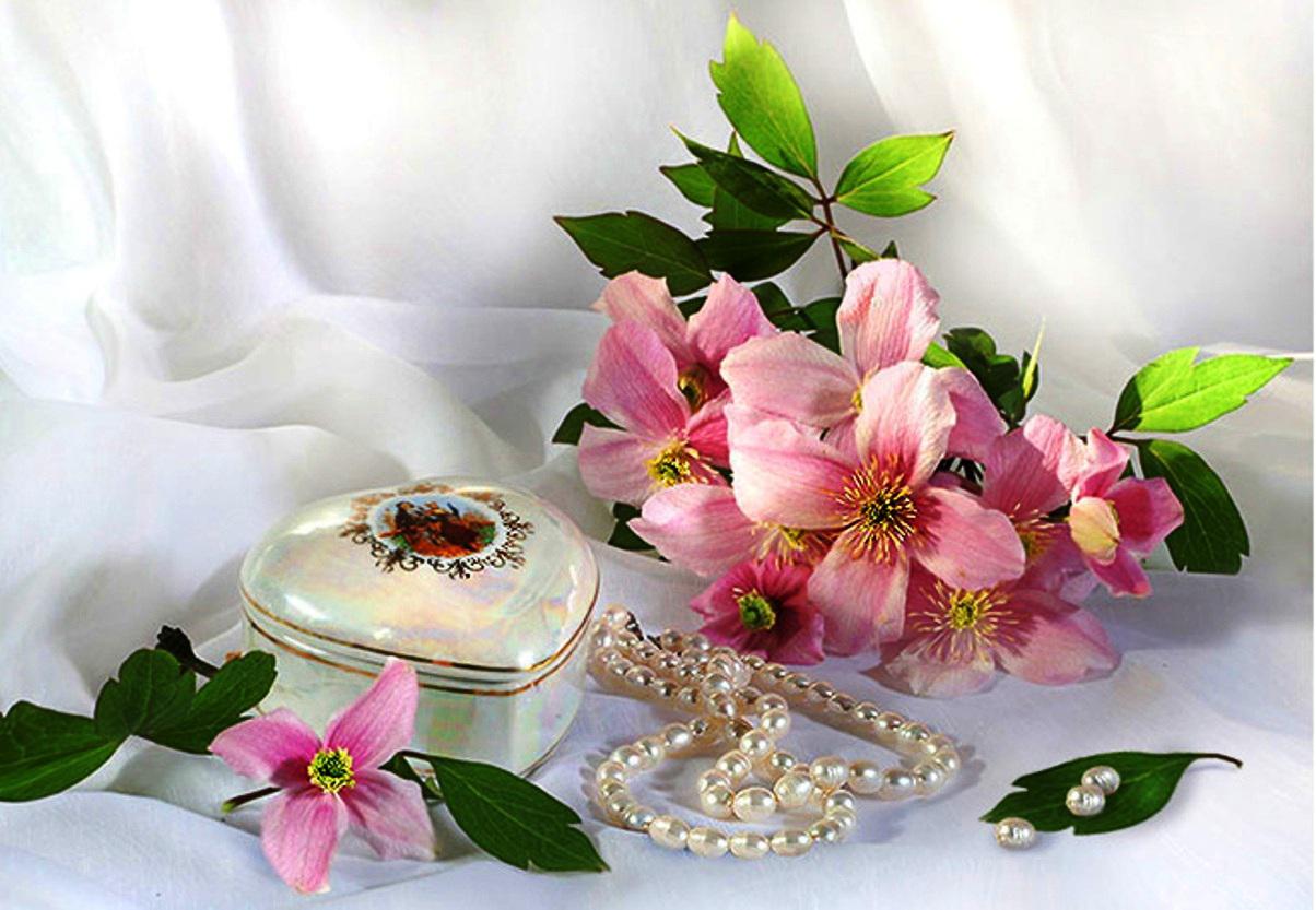 Feminine Wallpapers - Top Free Feminine Backgrounds - WallpaperAccess