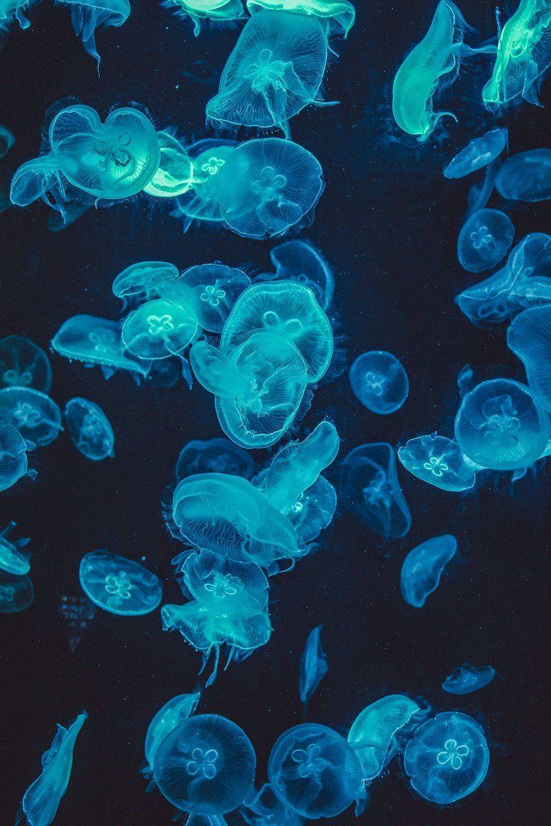 Dark Underwater Wallpapers - Top Free Dark Underwater Backgrounds ...