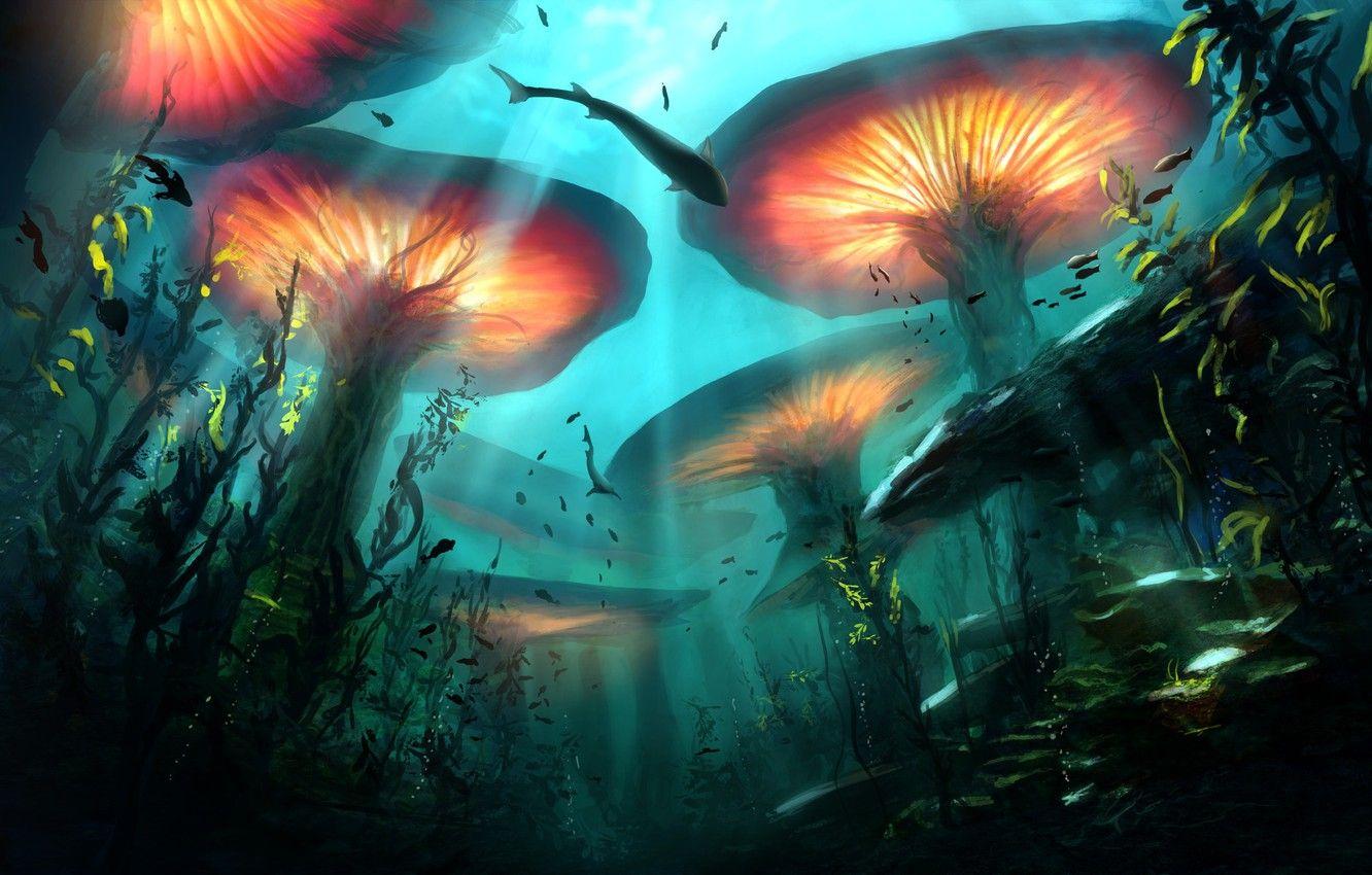 Underwater World Wallpapers - Top Free Underwater World Backgrounds ...