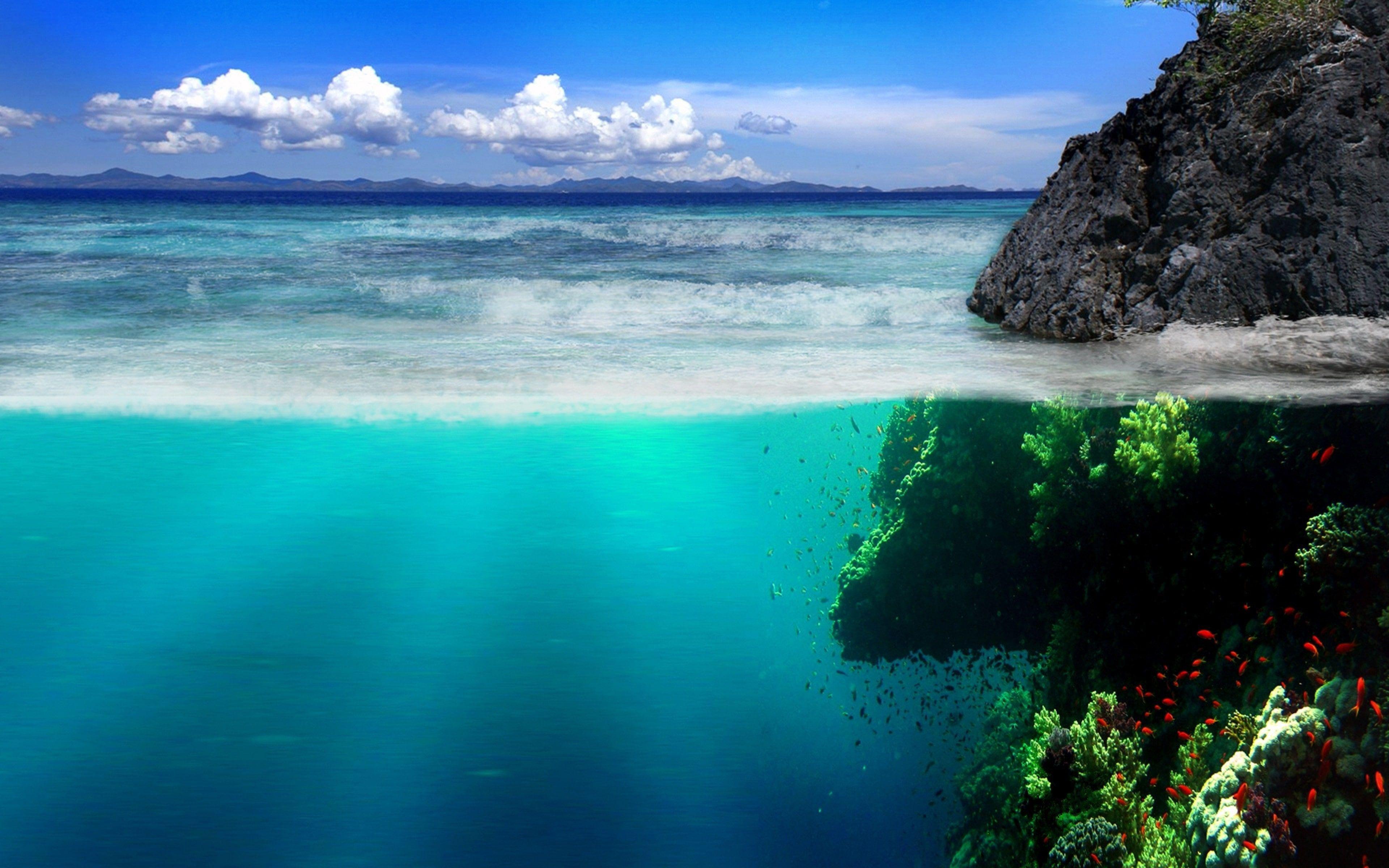 Underwater World Wallpapers - Top Free Underwater World Backgrounds ...