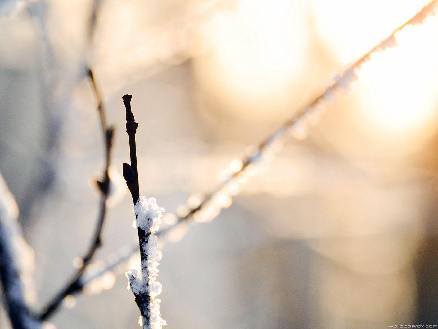 Melting Snow Wallpapers - Top Free Melting Snow Backgrounds ...