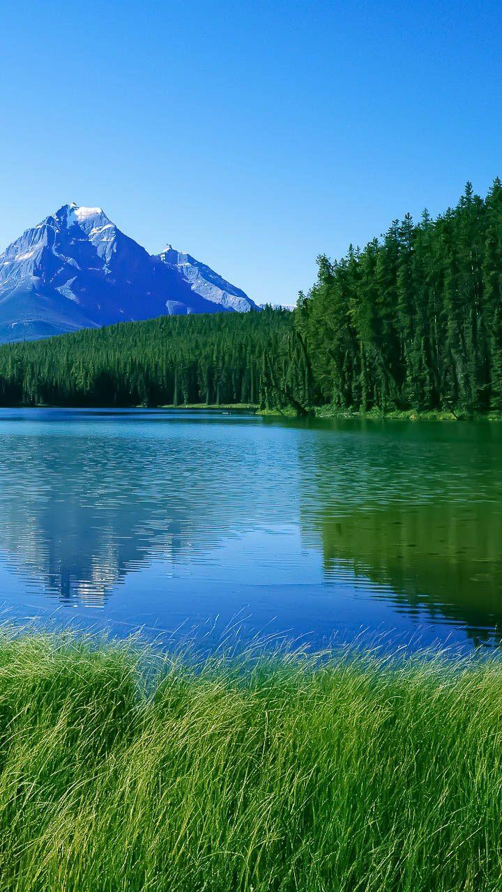 720X1280 HD Wallpapers - Top Free 720X1280 HD Backgrounds - WallpaperAccess