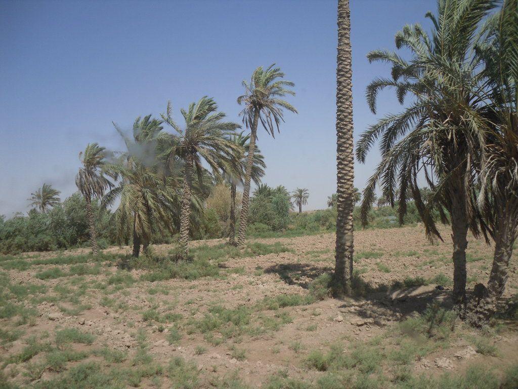Iraq Landscape Wallpapers - Top Free Iraq Landscape Backgrounds ...