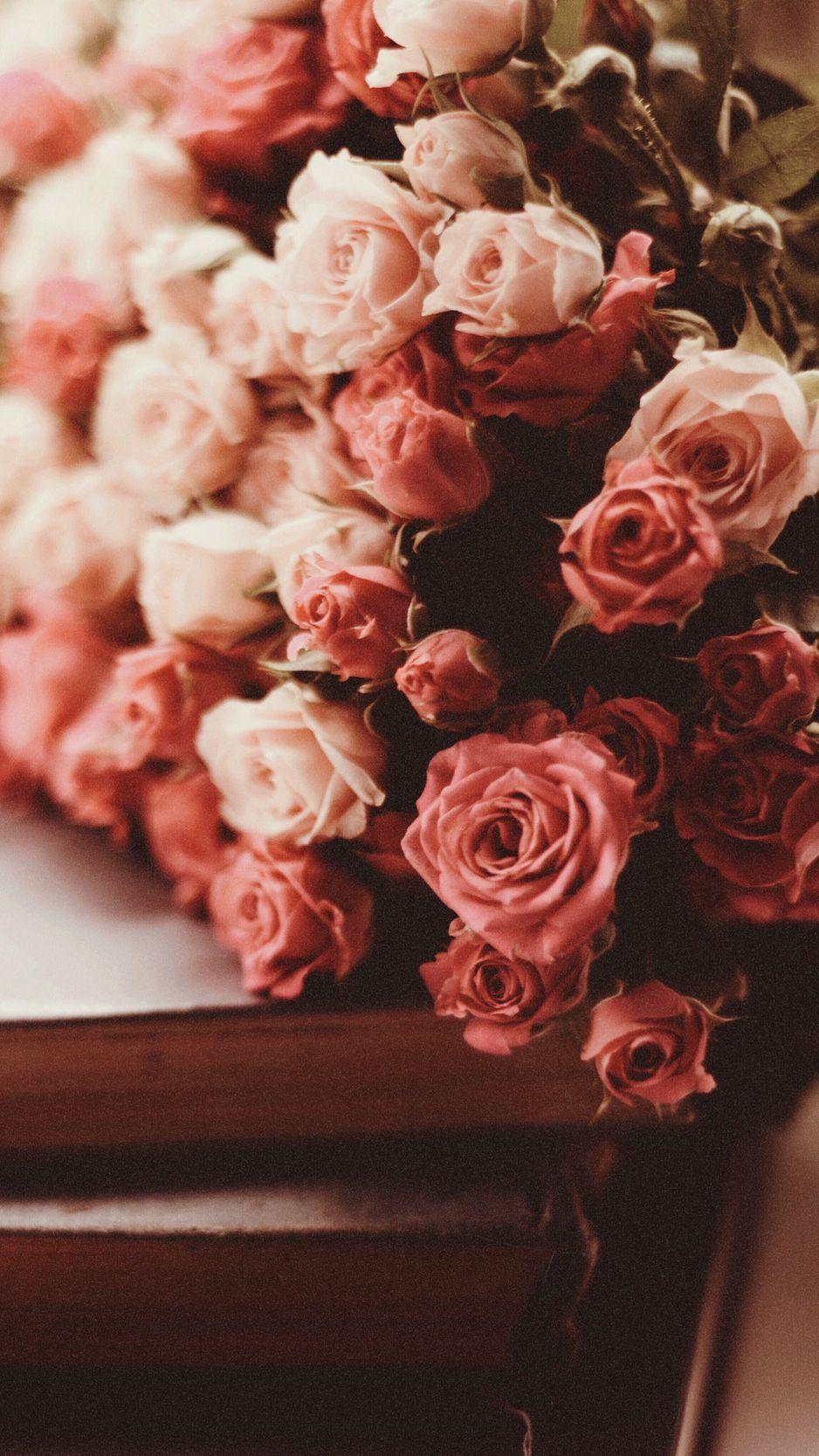 Pink Books Wallpapers - Top Free Pink Books Backgrounds - WallpaperAccess