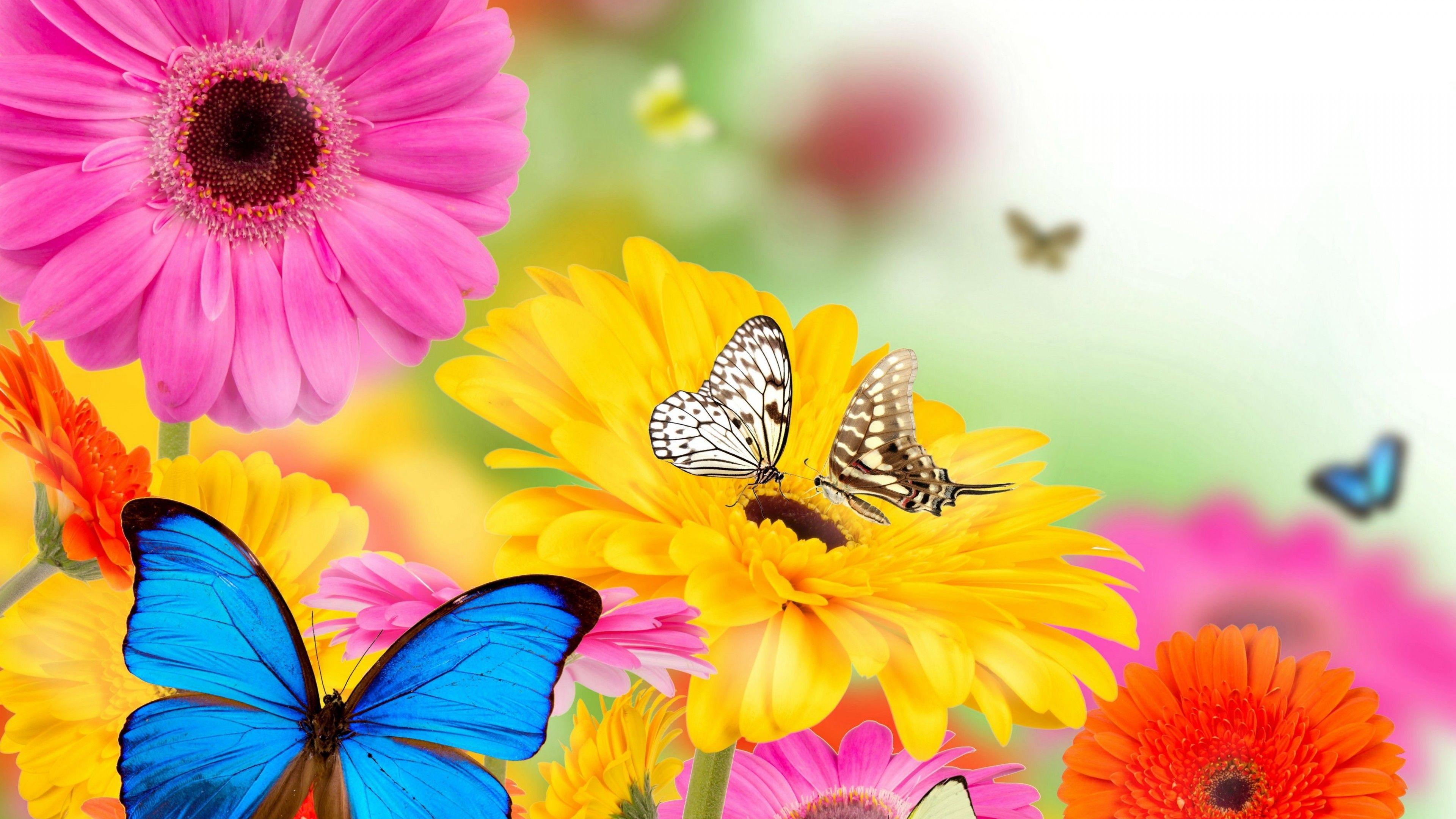 Spring Collage Wallpapers - Top Free Spring Collage Backgrounds ...
