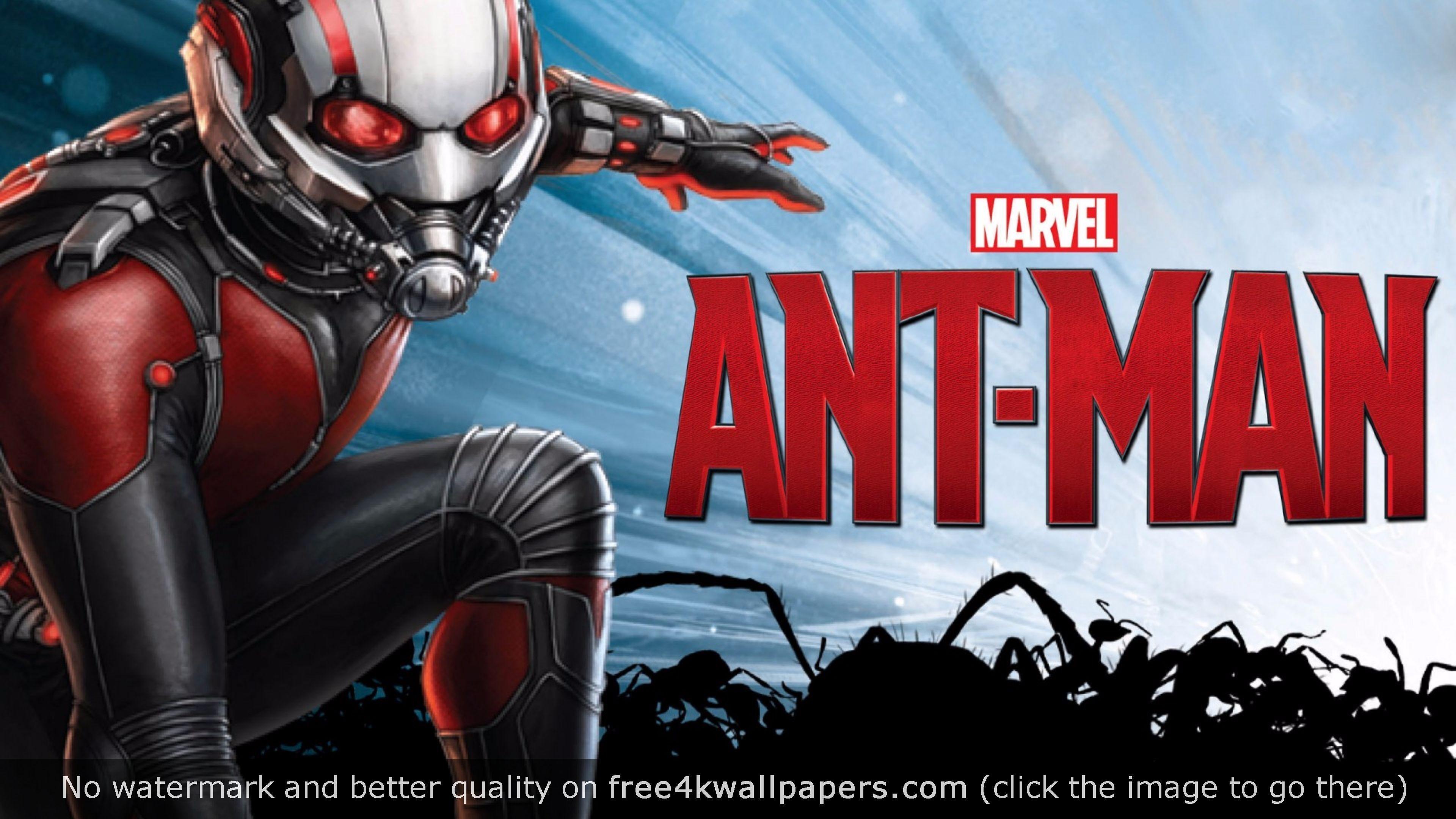 Ant-Man 4K Wallpapers - Top Free Ant-Man 4K Backgrounds - WallpaperAccess