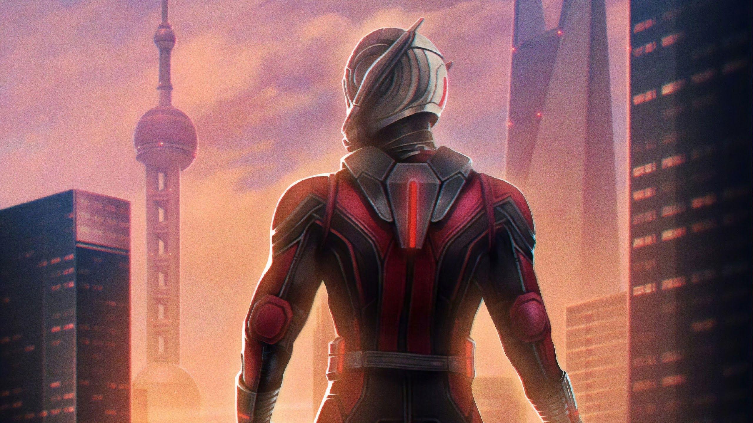 Ant-Man 4K Wallpapers - Top Free Ant-Man 4K Backgrounds - WallpaperAccess