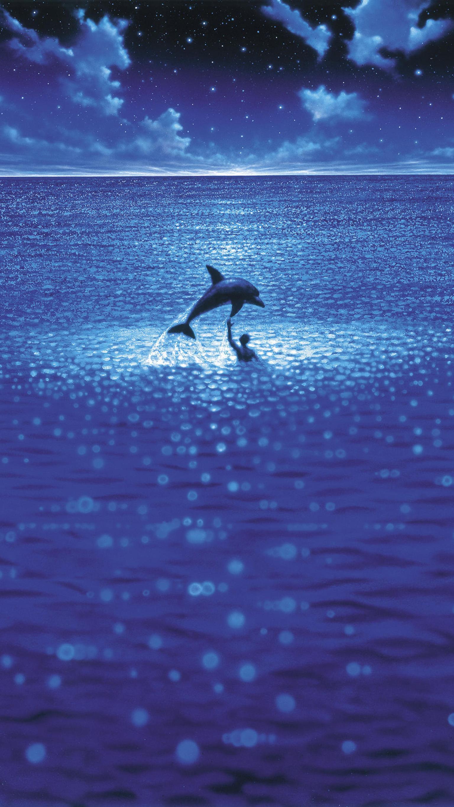 Dolphin Phone Wallpapers - Top Free Dolphin Phone Backgrounds ...