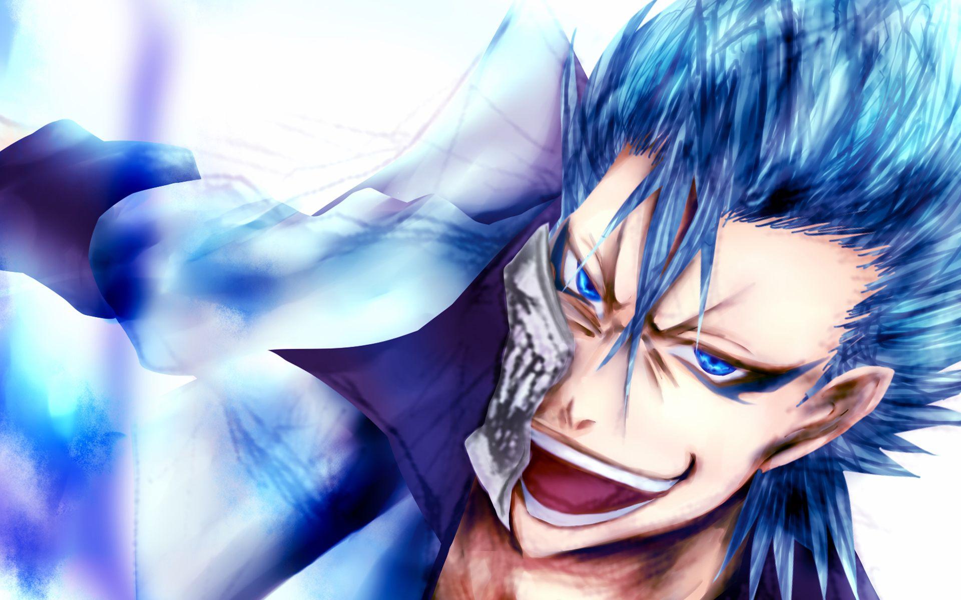 Grimmjow Wallpapers - Top Free Grimmjow Backgrounds - WallpaperAccess