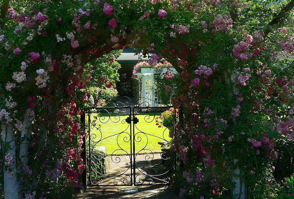 Secret Garden Wallpapers - Top Free Secret Garden Backgrounds ...