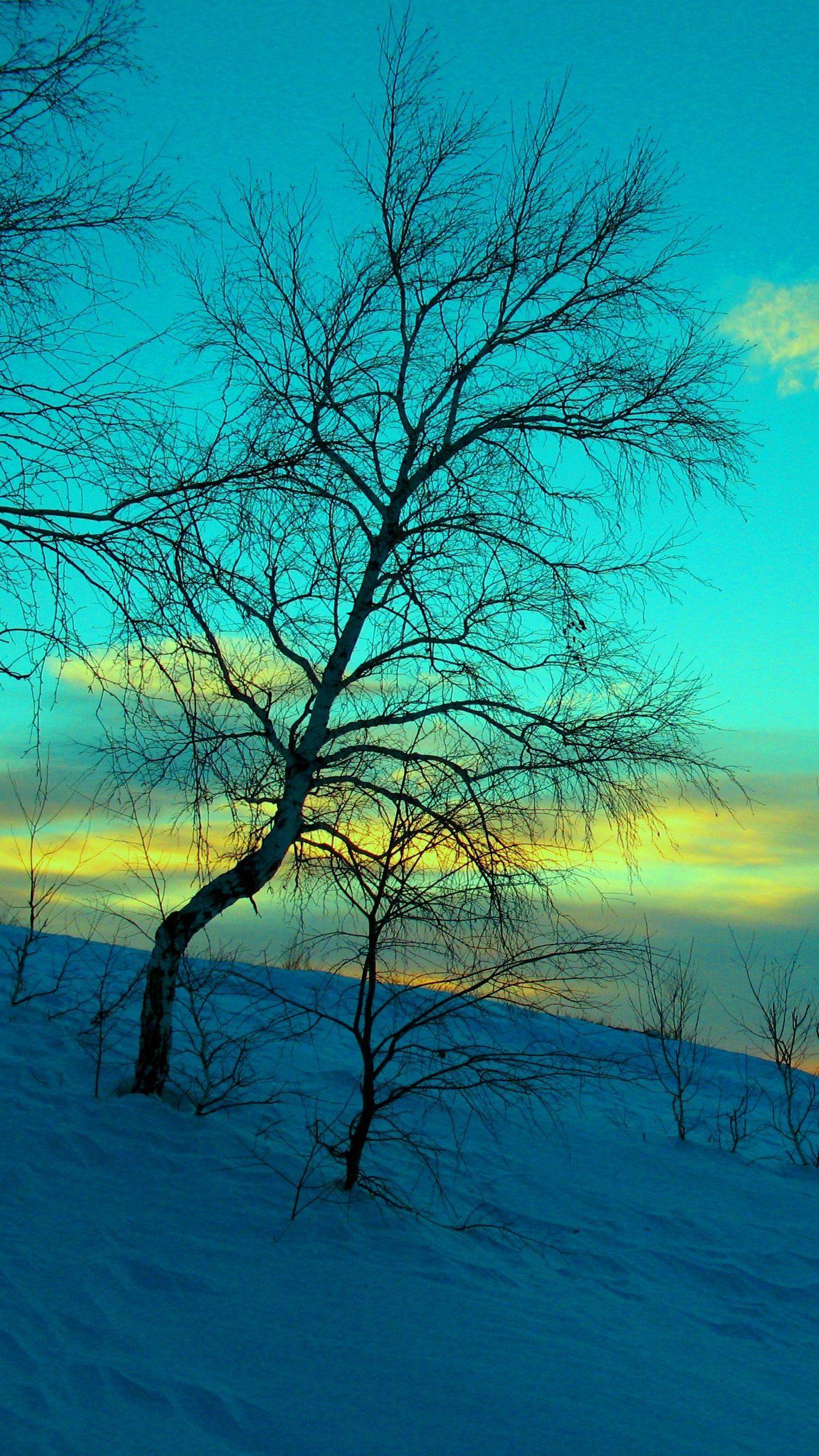 March Nature Wallpapers - Top Free March Nature Backgrounds ...