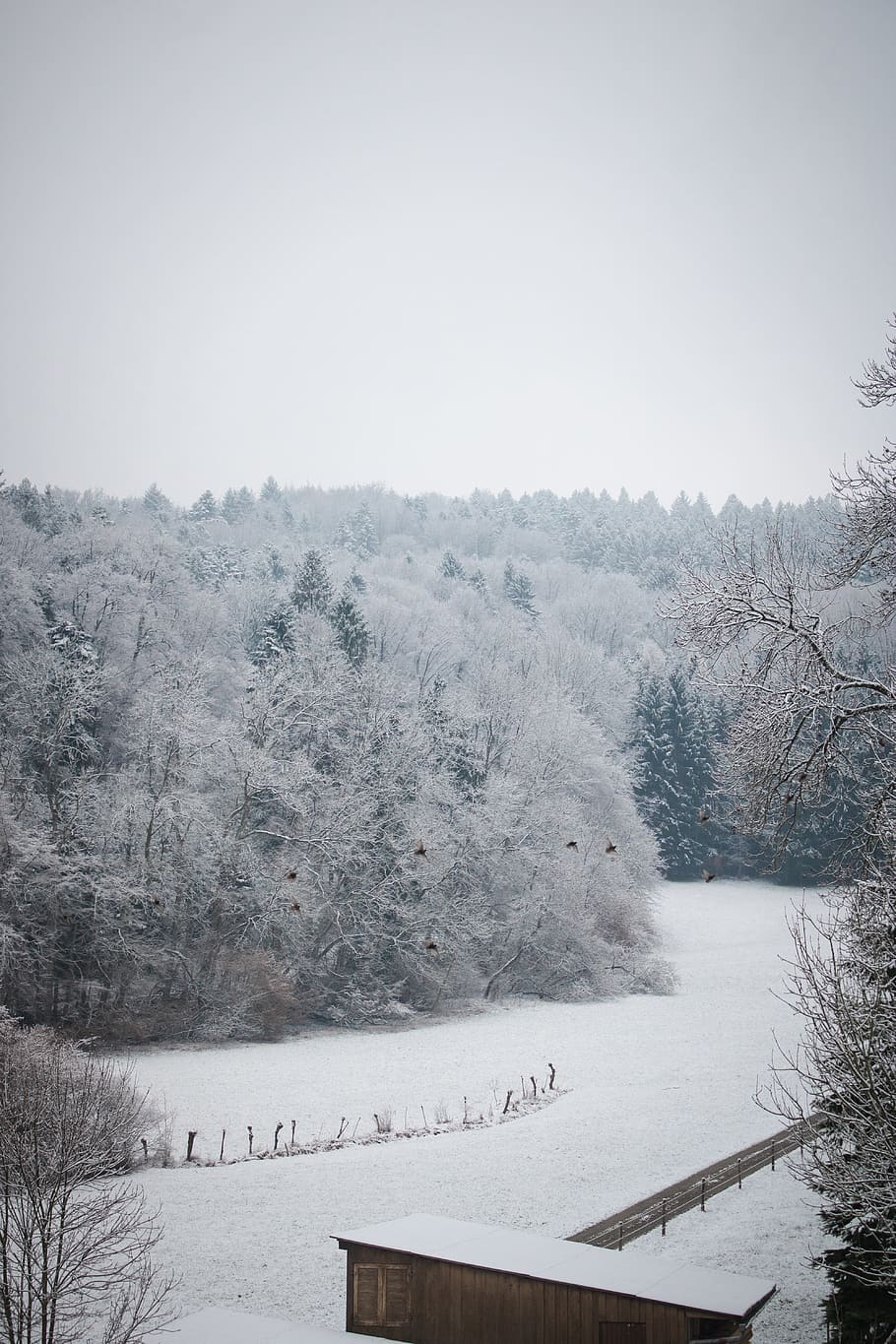 March Nature Wallpapers - Top Free March Nature Backgrounds ...