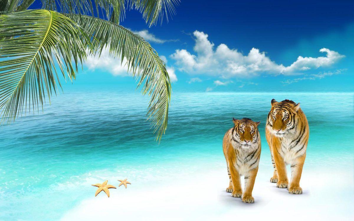 3D Beach Wallpapers - Top Free 3D Beach Backgrounds - WallpaperAccess
