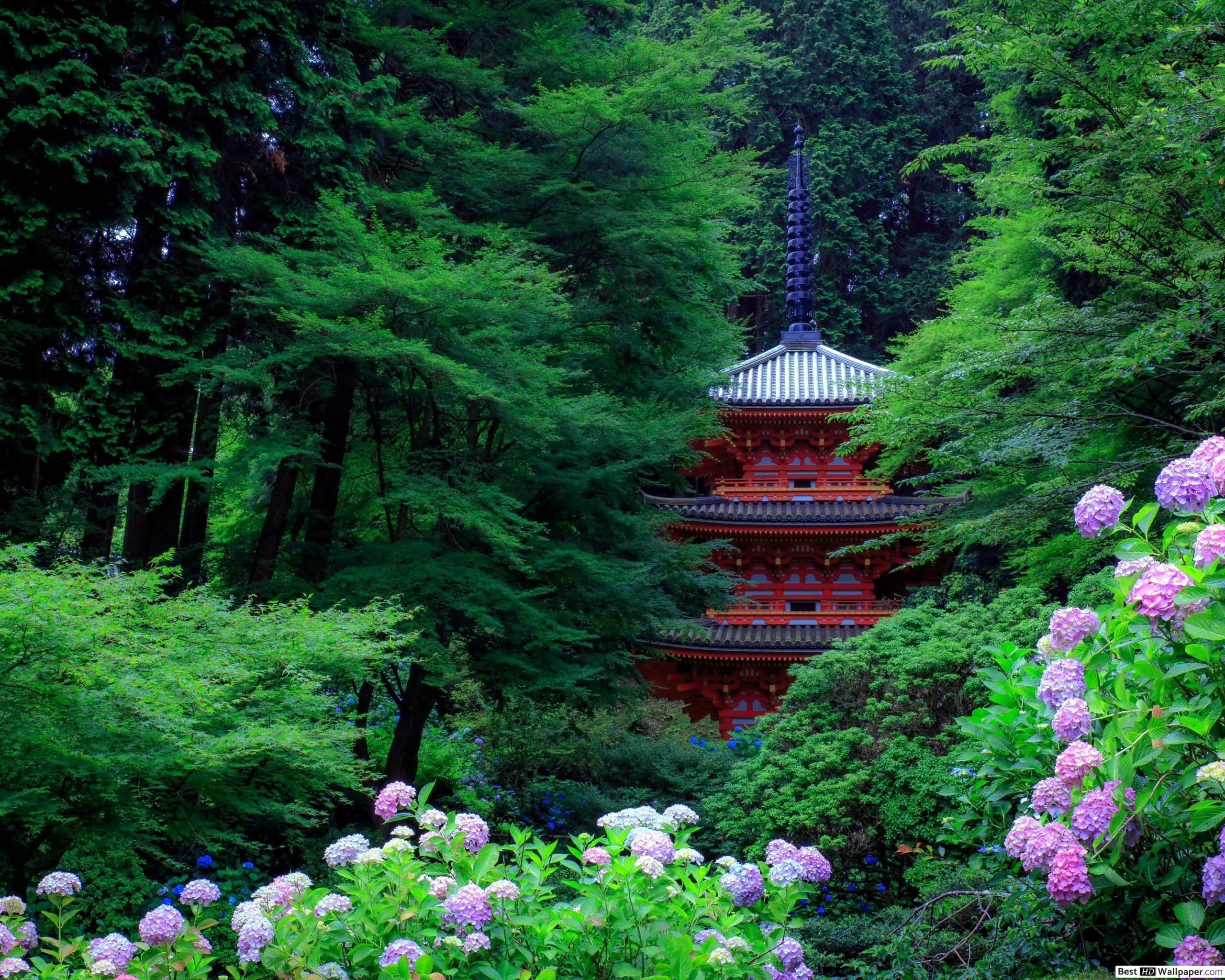 Japan Spring Wallpapers - Top Free Japan Spring Backgrounds ...