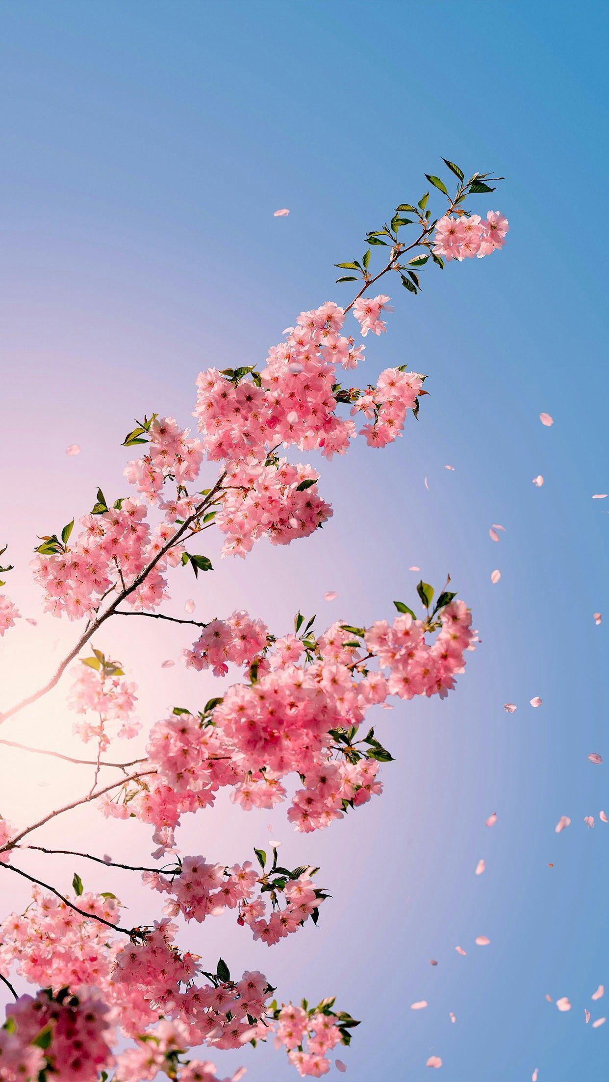Cool Spring Wallpapers - Top Free Cool Spring Backgrounds - WallpaperAccess