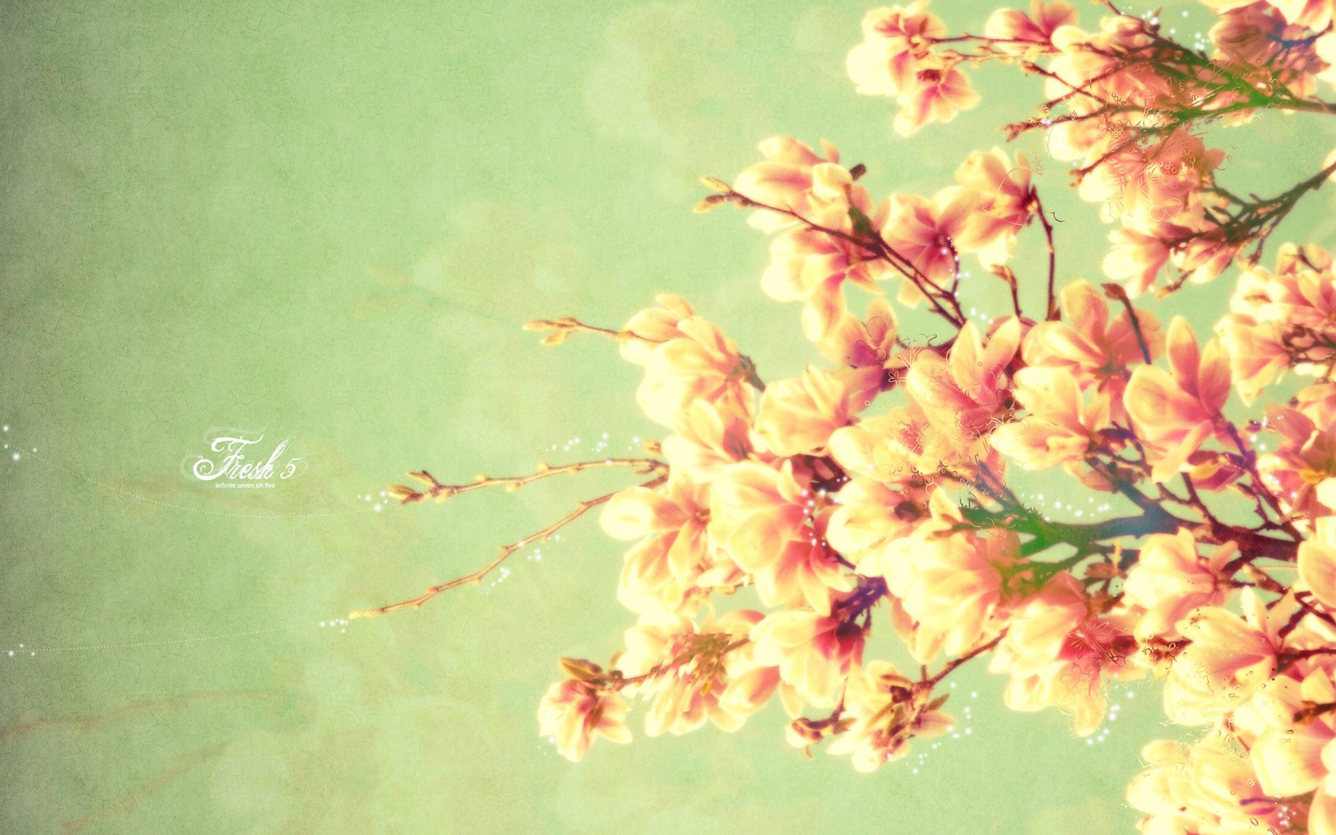 Cool Spring Wallpapers - Top Free Cool Spring Backgrounds - WallpaperAccess