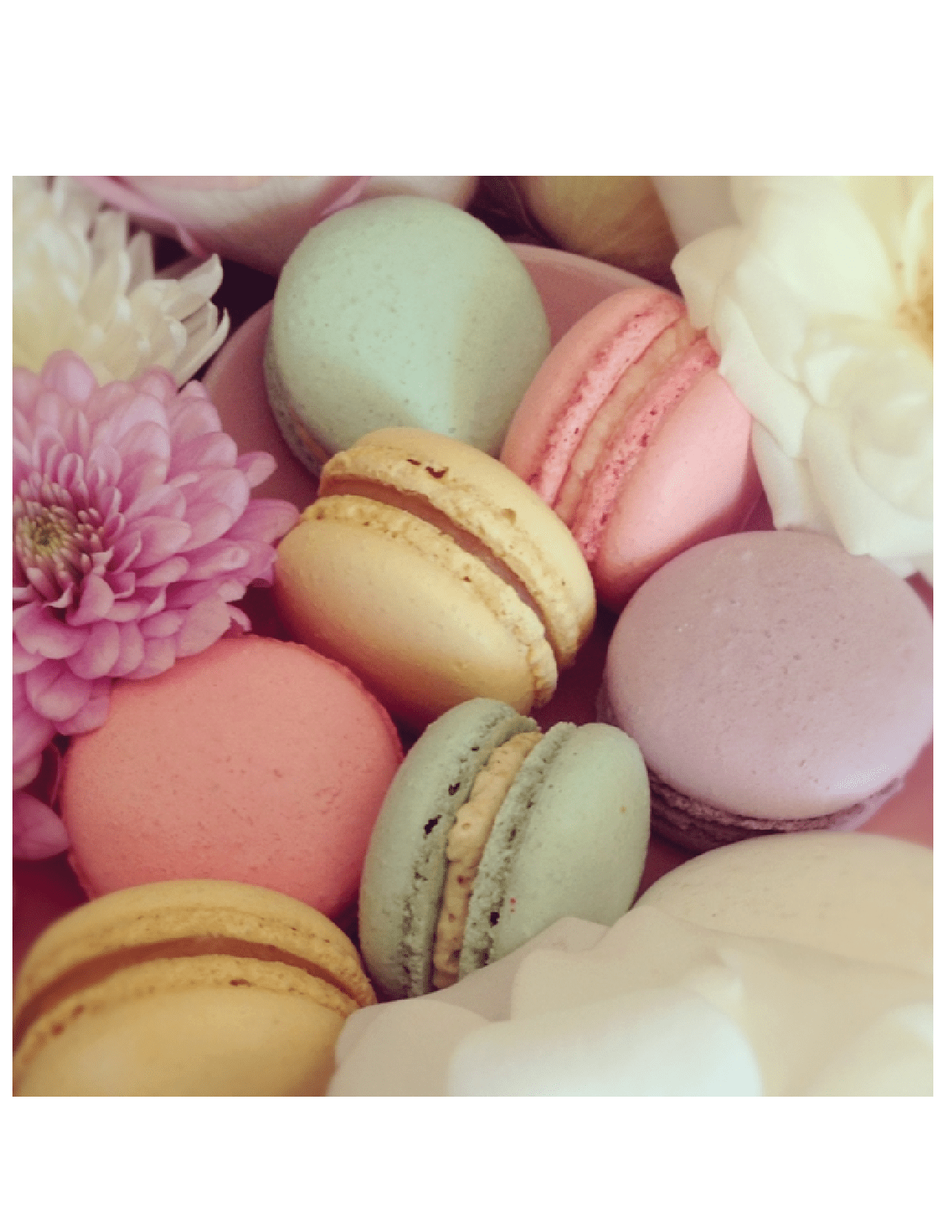 Pastel Macarons Wallpapers - Top Free Pastel Macarons Backgrounds ...