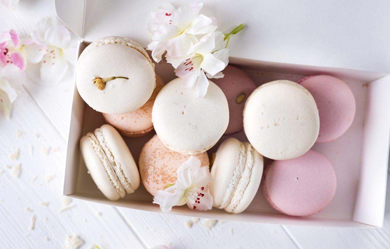 Pastel Macarons Wallpapers - Top Free Pastel Macarons Backgrounds ...