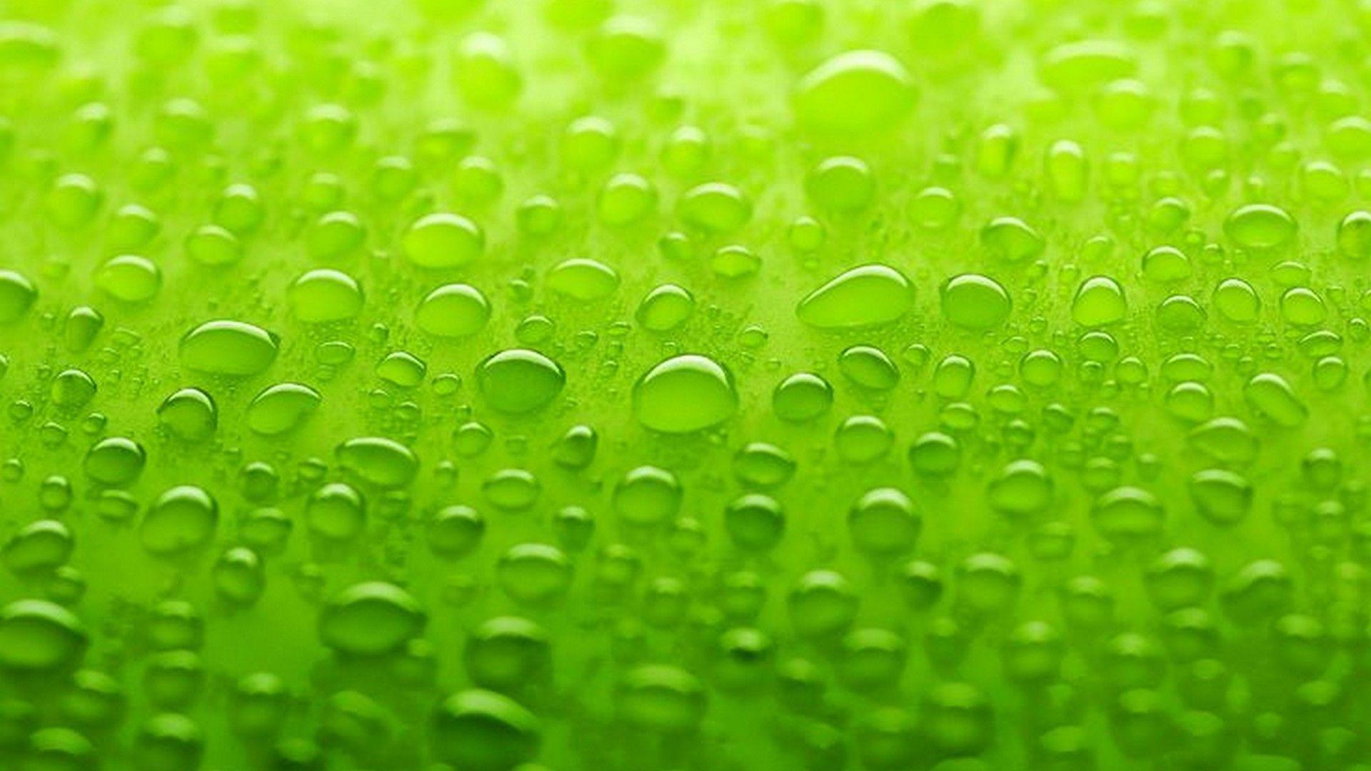 Lime Wallpapers - Top Free Lime Backgrounds - WallpaperAccess