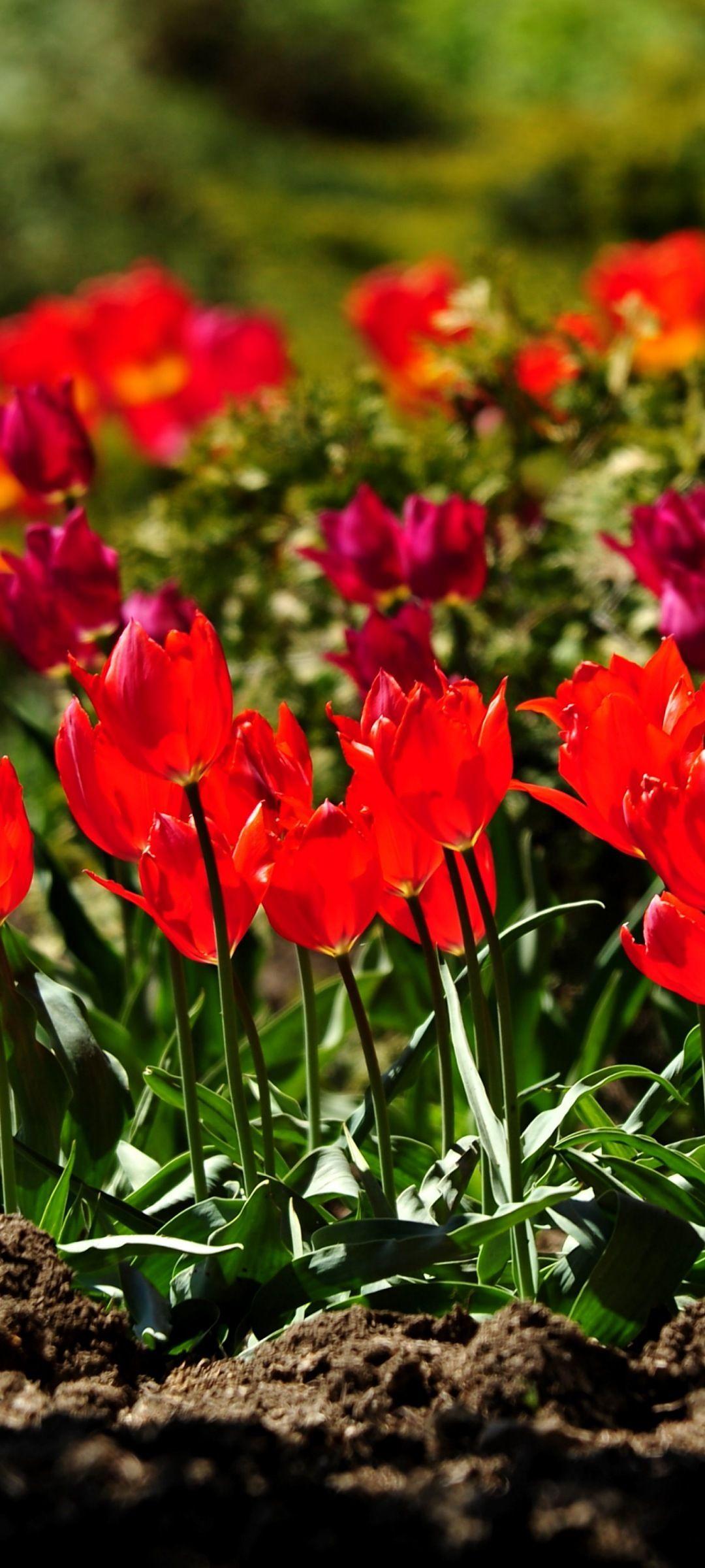 Phone Screen Wallpapers - Top Free Phone Screen Backgrounds ...