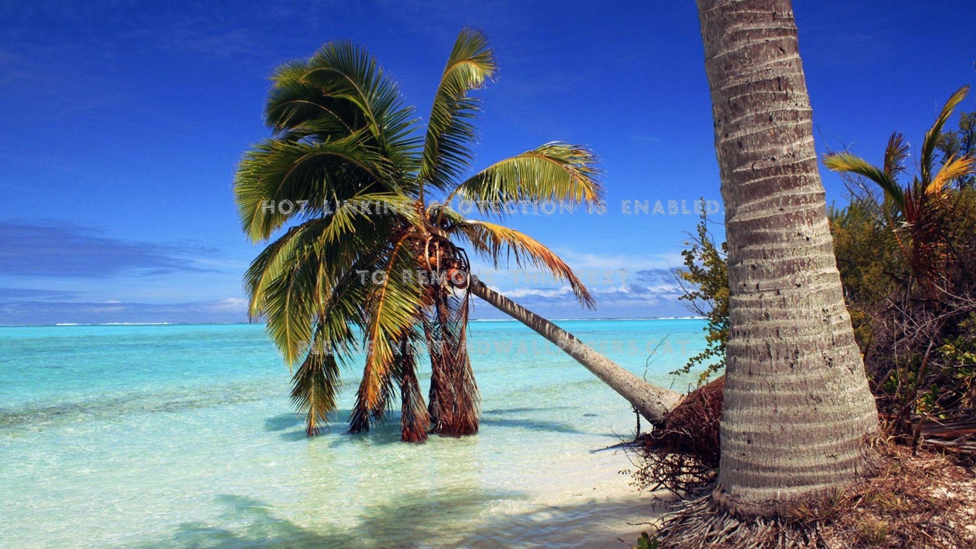 Cook Islands Wallpapers - Top Free Cook Islands Backgrounds ...