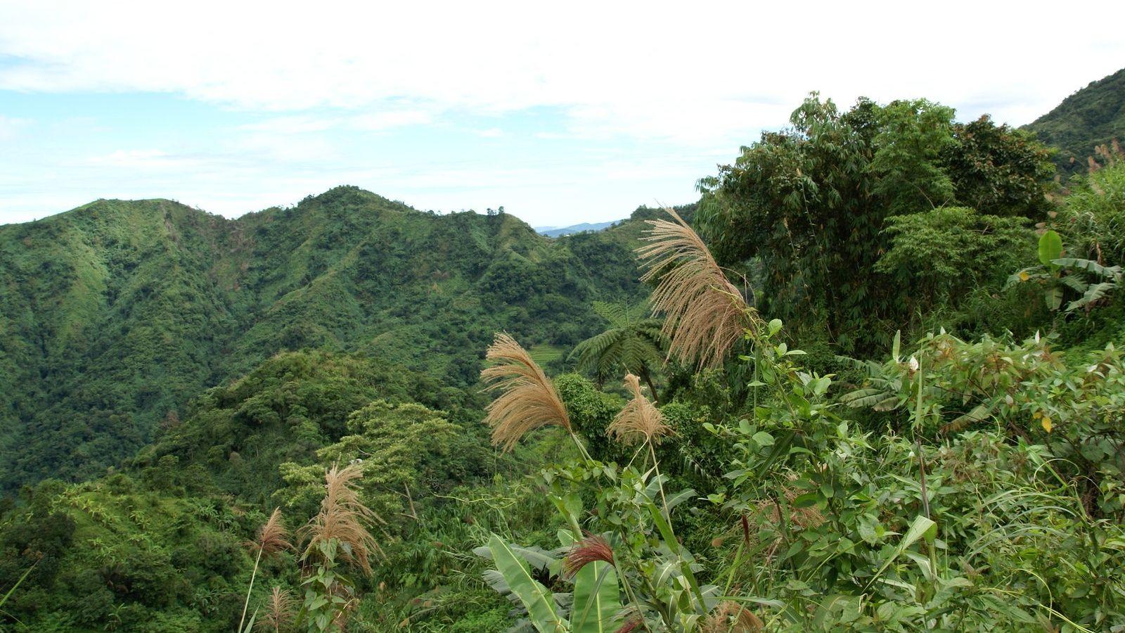 Tropical Mountain Wallpapers - Top Free Tropical Mountain Backgrounds ...